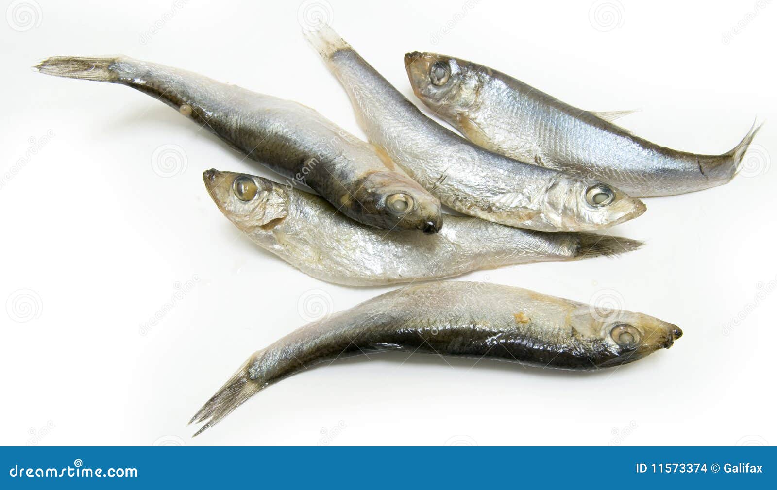 Group of Sprat fish stock photo. Image of sustainable - 11573374