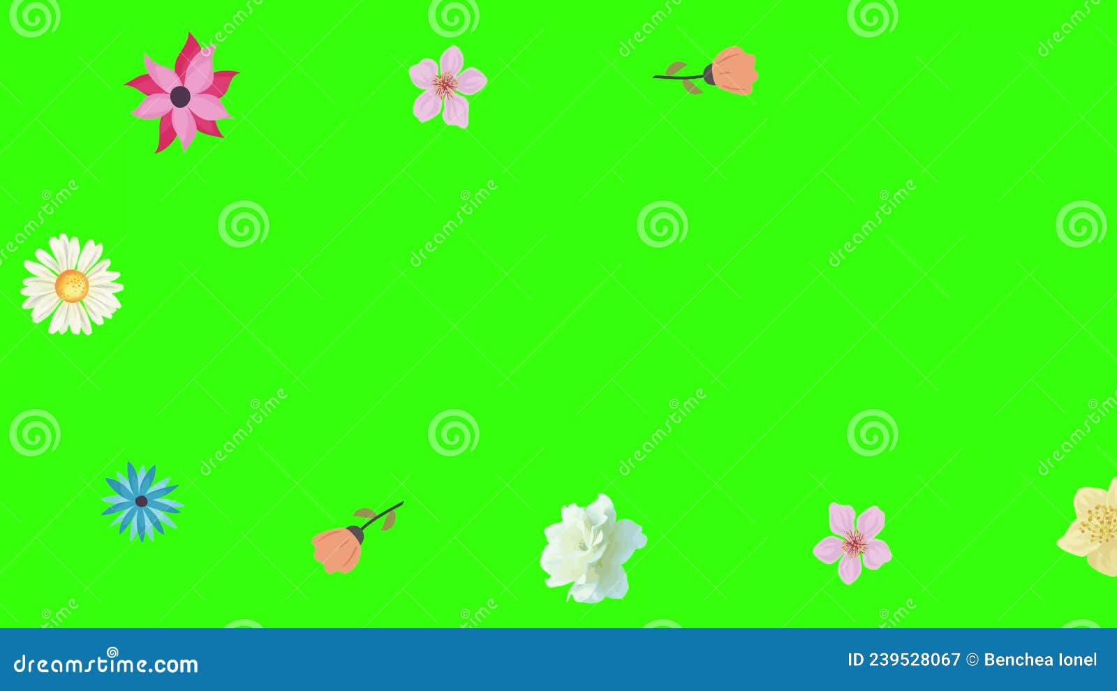 Group of Spring Flowers Animation Elements on Green Screen Chroma Key ...