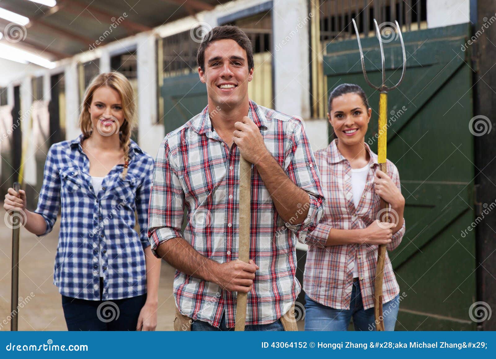 Group stable workers stock photo. Image of female, holding - 43064152