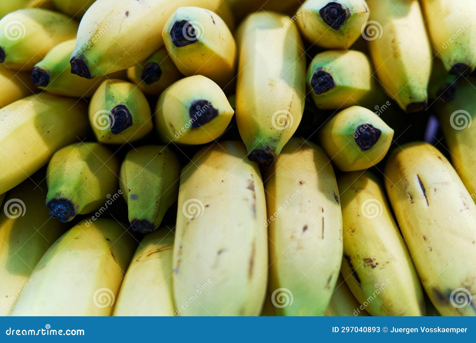 A Group of Stacked Fresh Bananas Stock Image - Image of ripe, harvest ...