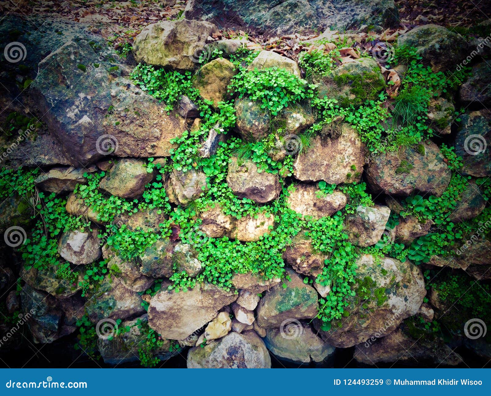 Stacked Stone with Grass Texture Stock Image - Image of grasses ...