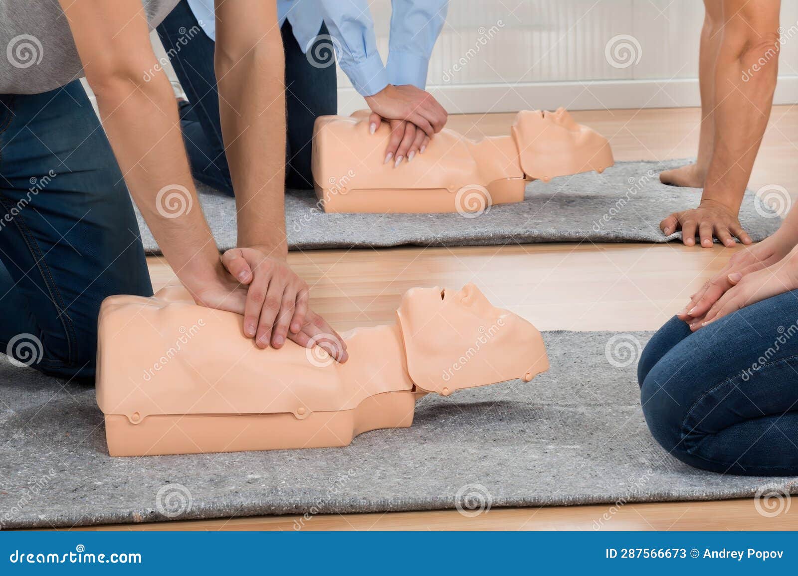 Group of Students Learning Cpr Stock Image - Image of adults, technique ...