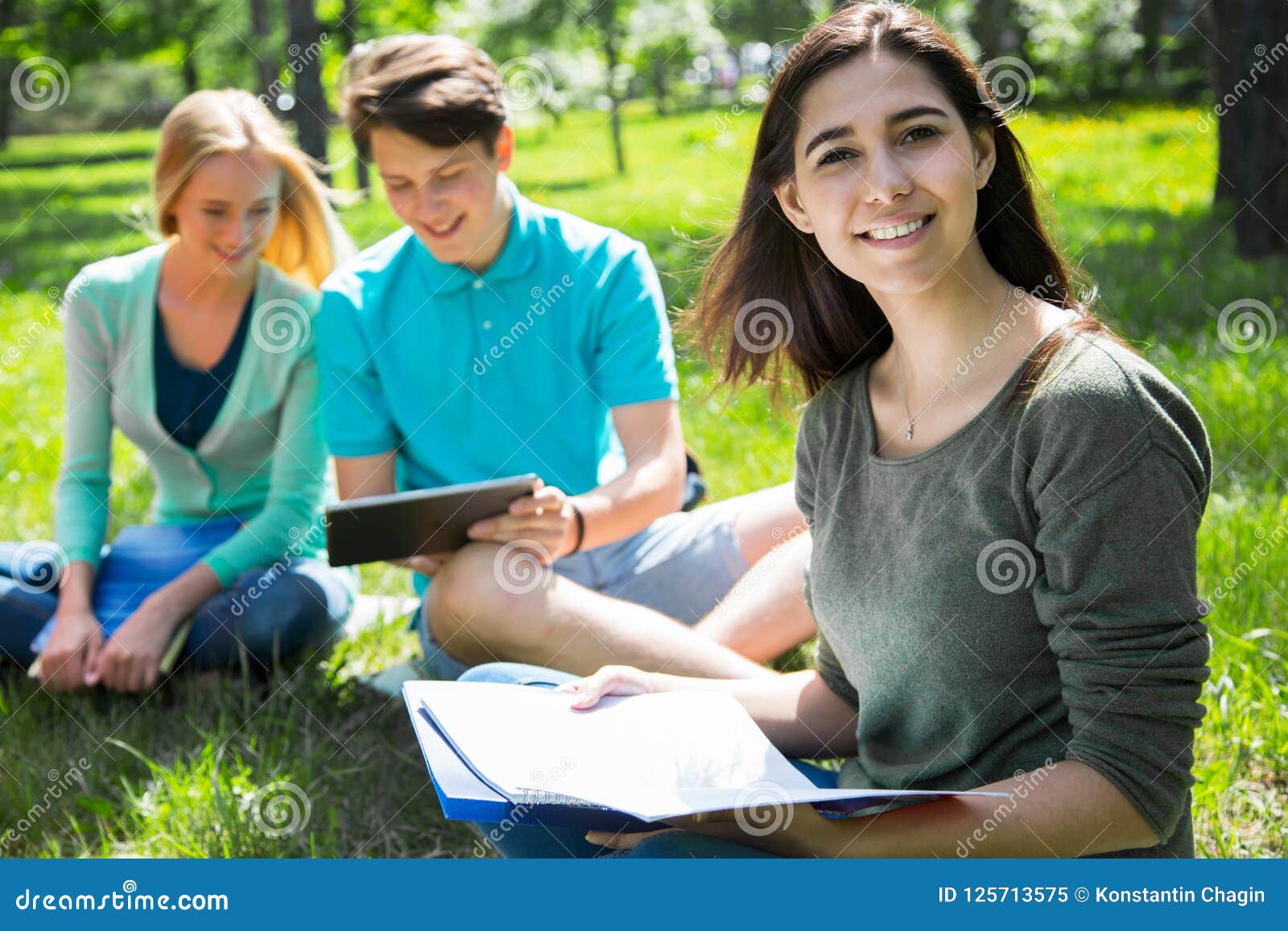 Group of Students Studying Together Stock Image - Image of happy, grass ...