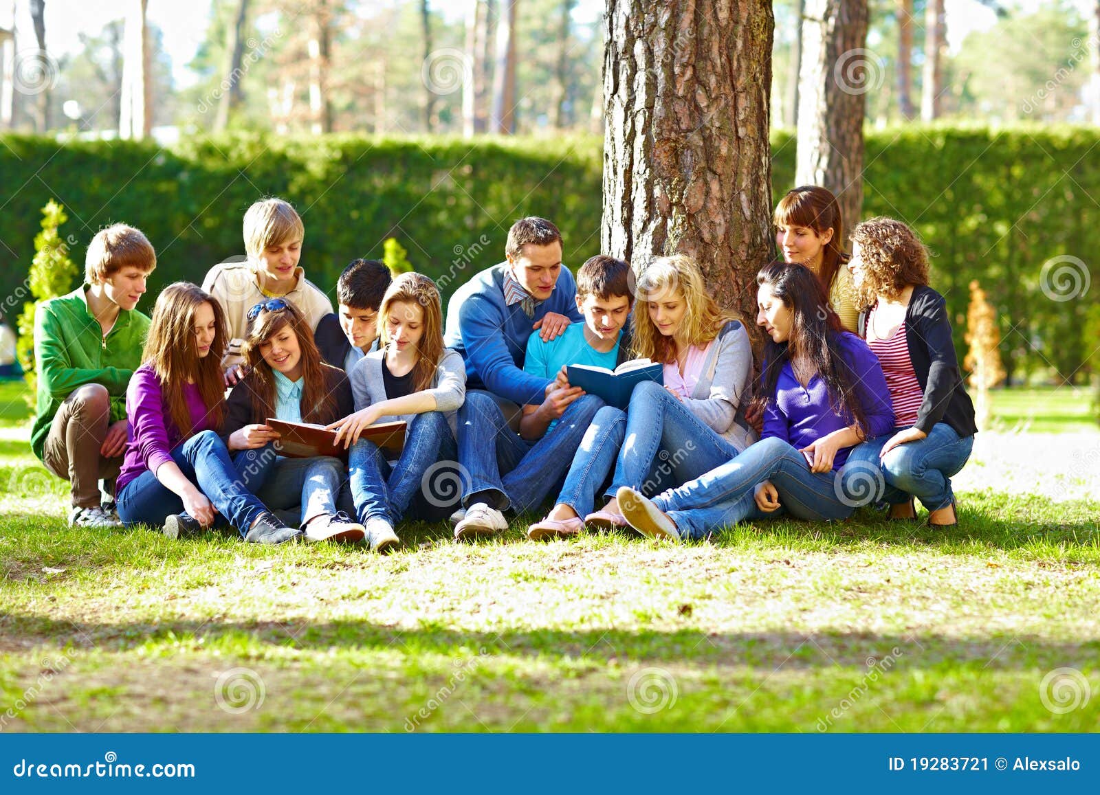 Group of Students Under the Tree Stock Image - Image of school, casual ...