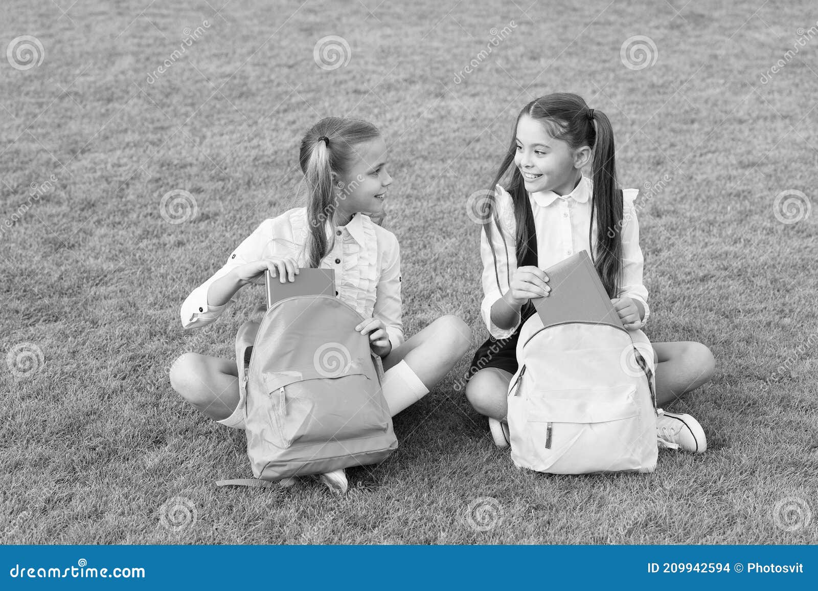 Girls Classmates Study Chemistry. Microscope Test Tubes Chemical ...