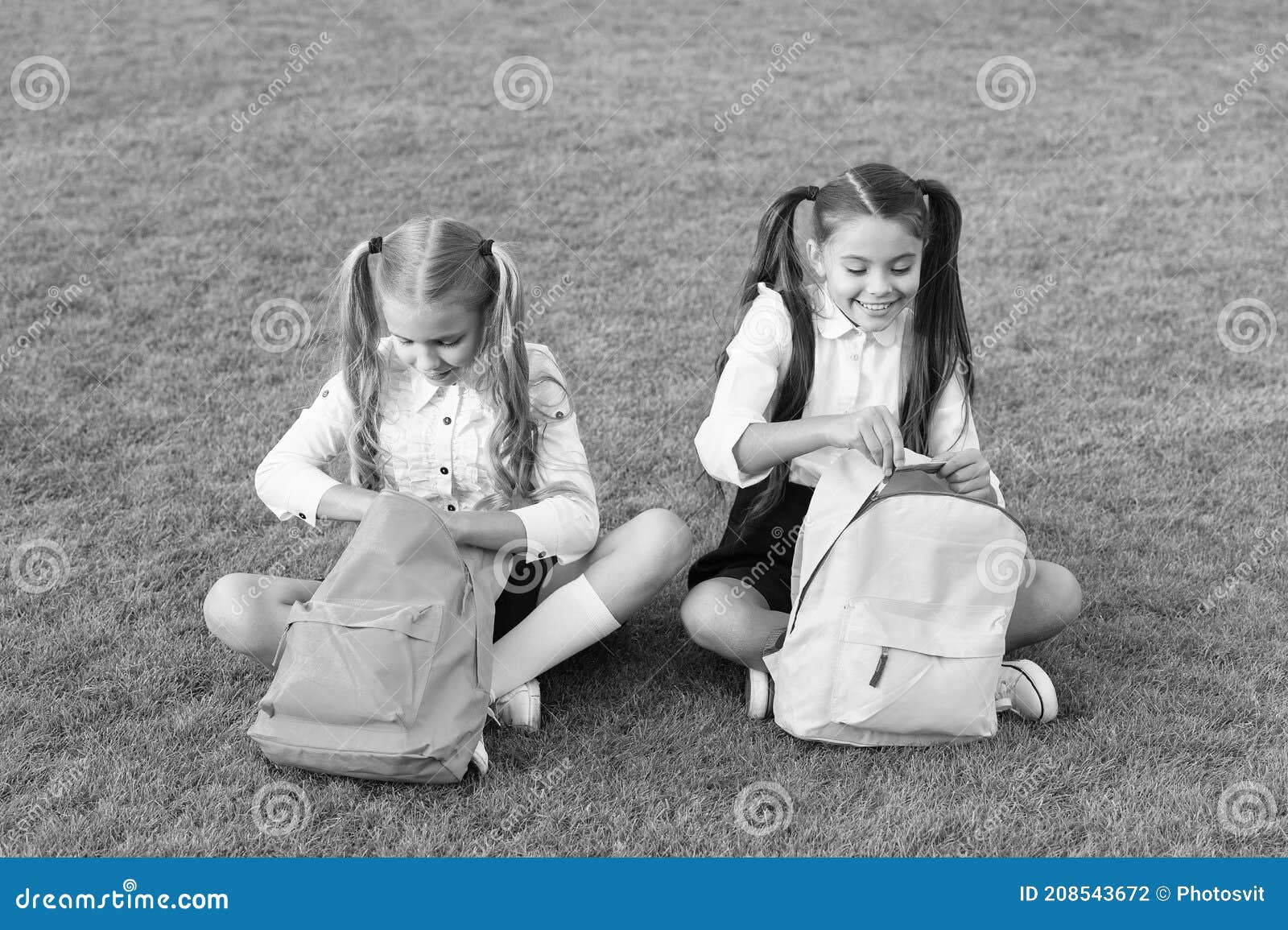 Group Study Outdoors Girls Classmates with Backpacks, Unpacking ...