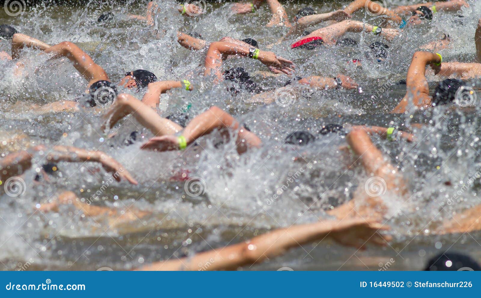 A group of swimmers stock photo. Image of detail, outdoor - 16449502