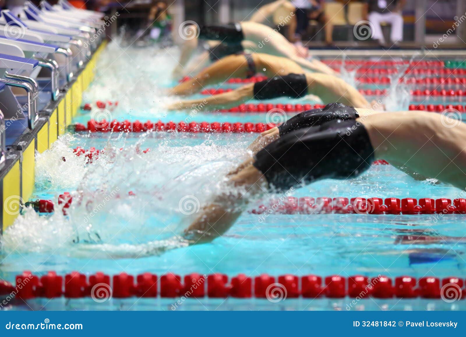 Group Swimmers Dive Back into the Water Stock Photo - Image of ...