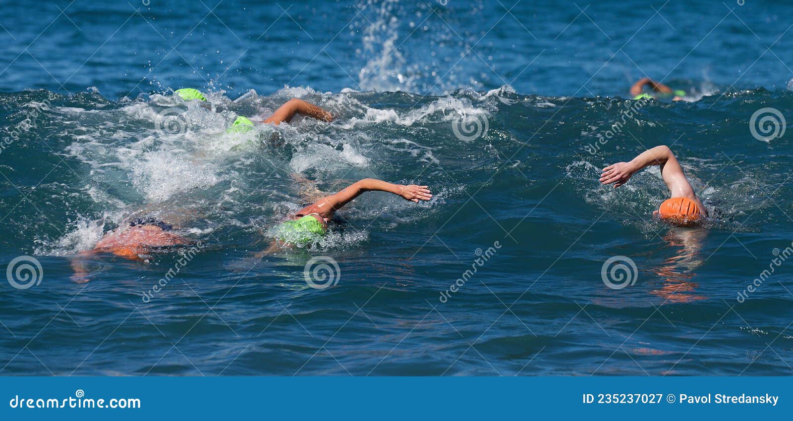 Group Swimmers Jumping Into The Water Editorial Image | CartoonDealer ...