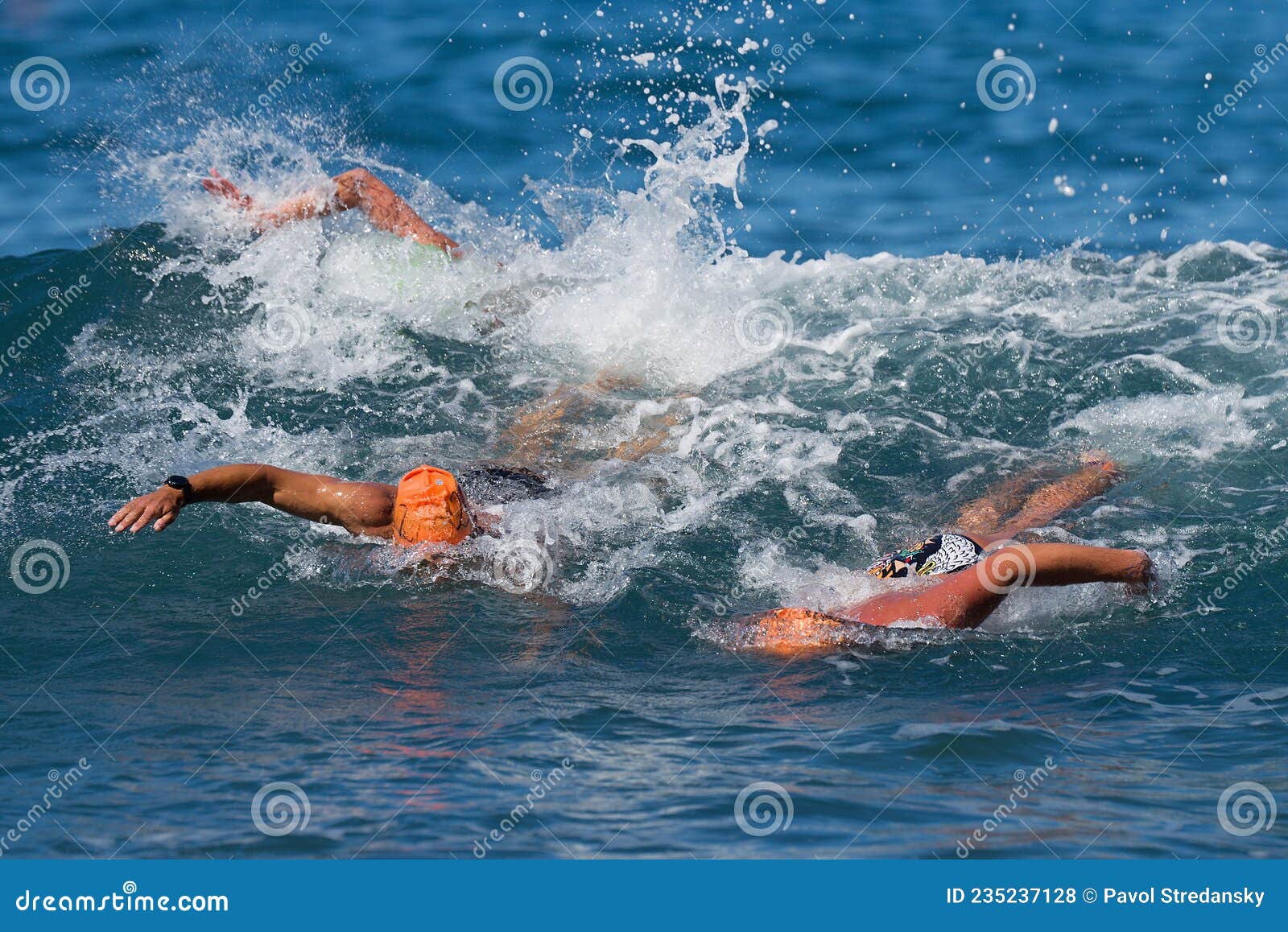 Group Swimmers Jumping Into The Water Editorial Image | CartoonDealer ...