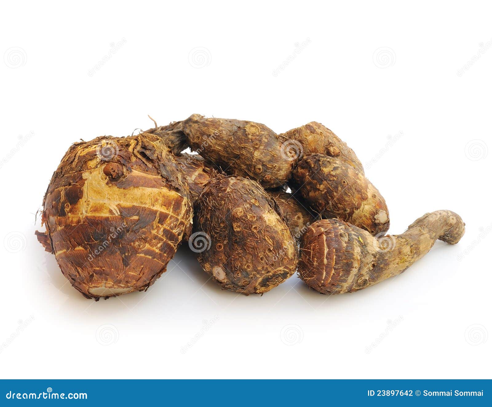 Group of taro roots stock photo. Image of exotic, taros - 23897642