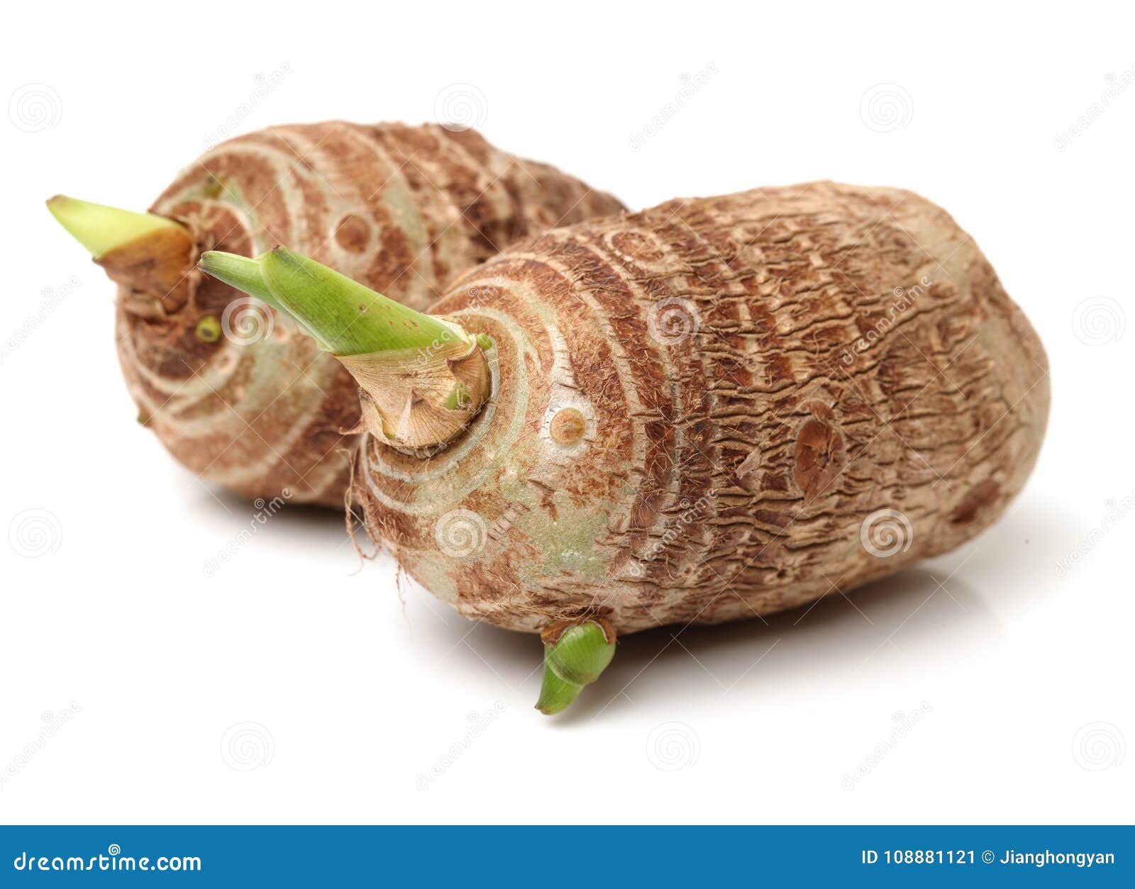 Group Of Taro Roots With One Cut In Cross Sections Stock Photography ... Group Of Taro Roots With One Cut In Cross Sections Stock Photography ...