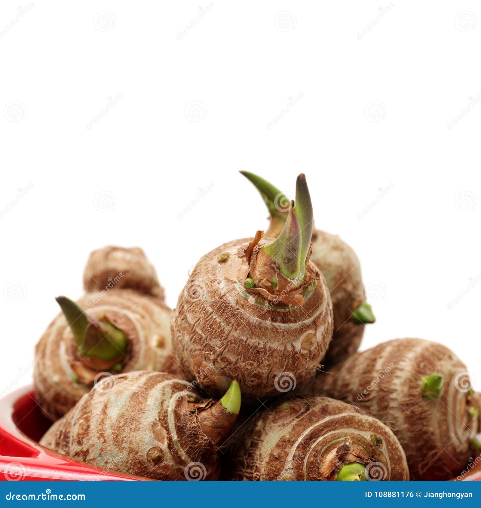 Group Of Taro Roots With One Cut In Cross Sections Stock Photography ...