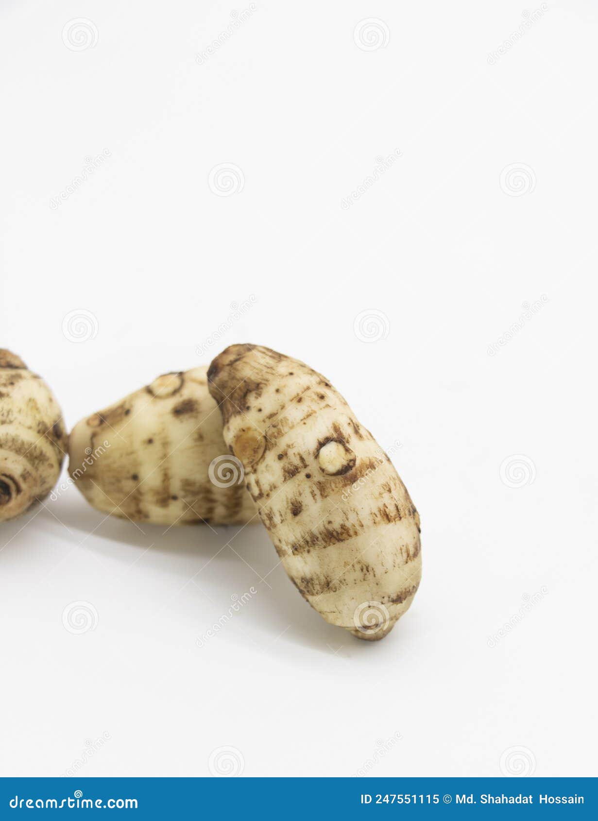 Group of Taro Roots with One Cut in Cross Sections Stock Image - Image ...