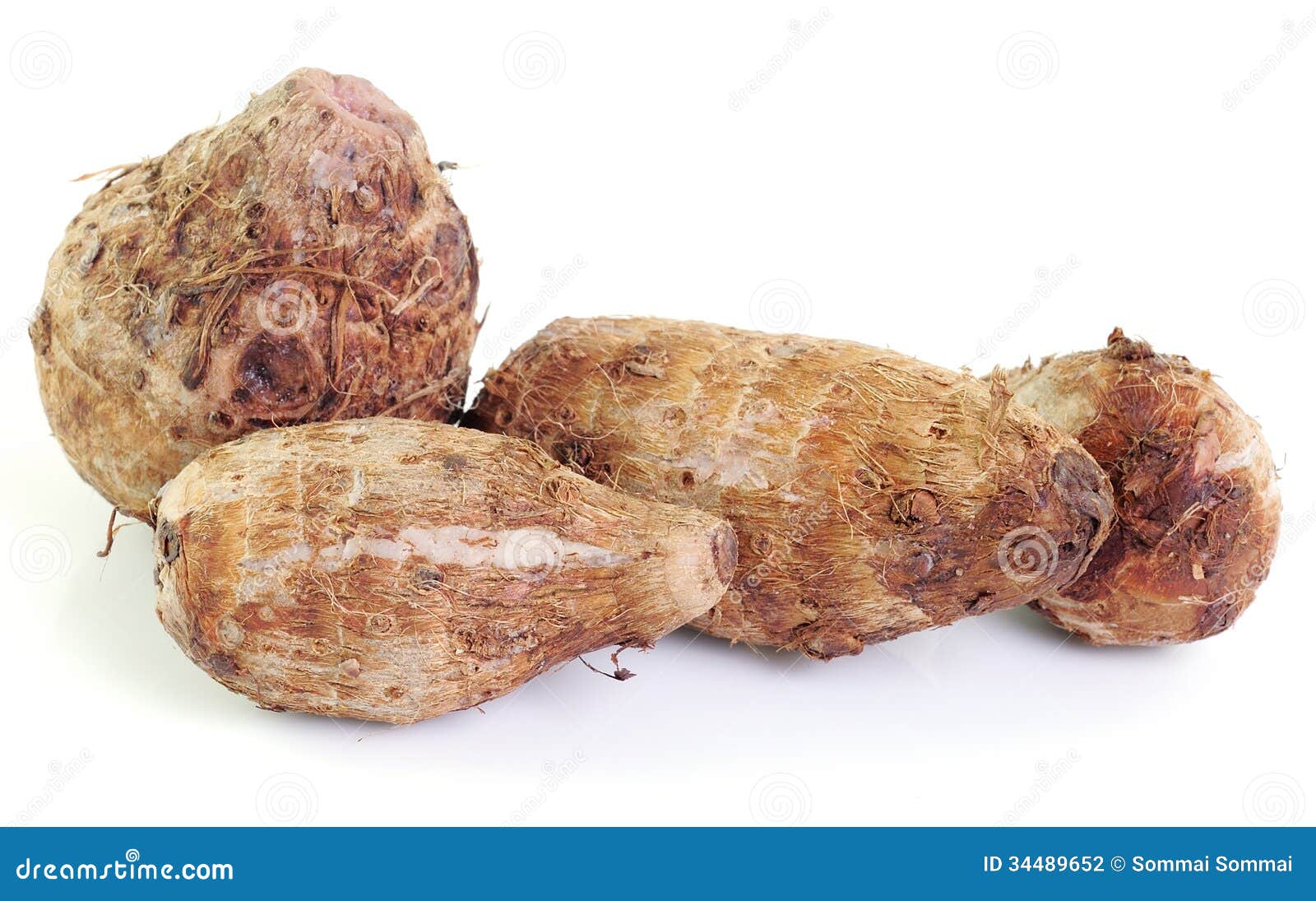 Group Of Taro Roots With One Cut In Cross Sections Stock Photography ...