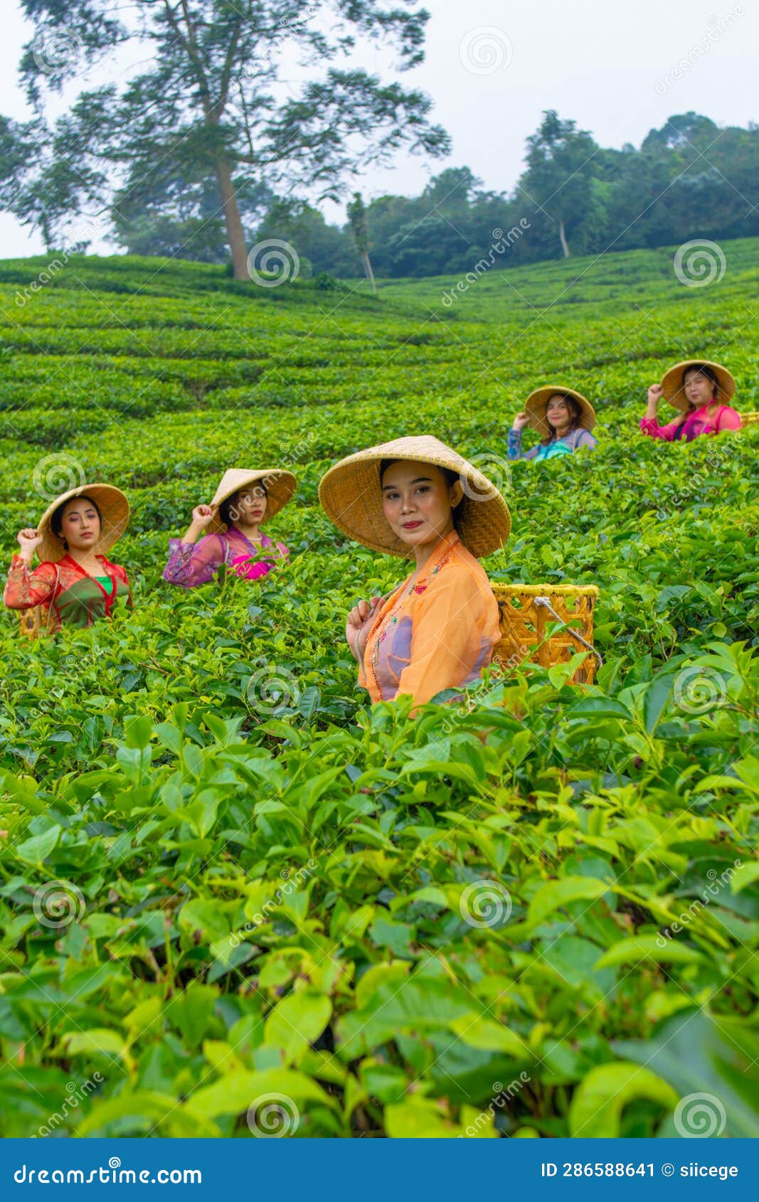 A Group of Traditional Javanese Dancers Laughing Together with ...