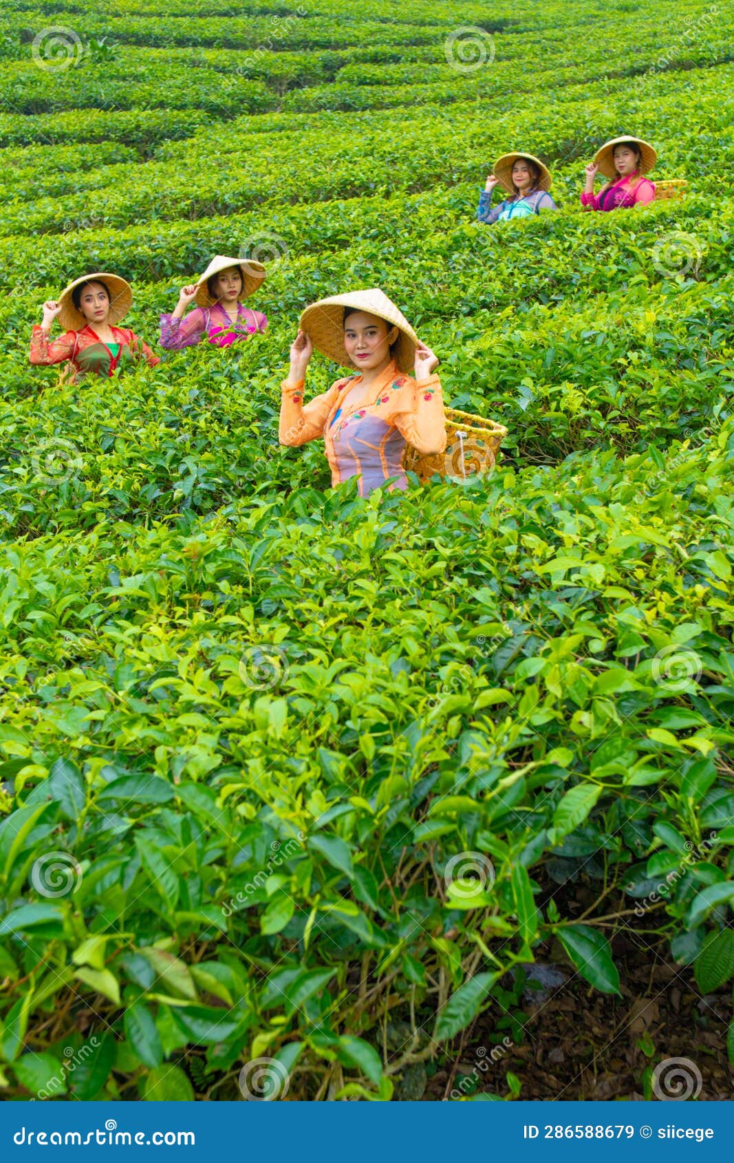 A Group of Traditional Javanese Dancers Laughing Together with ...