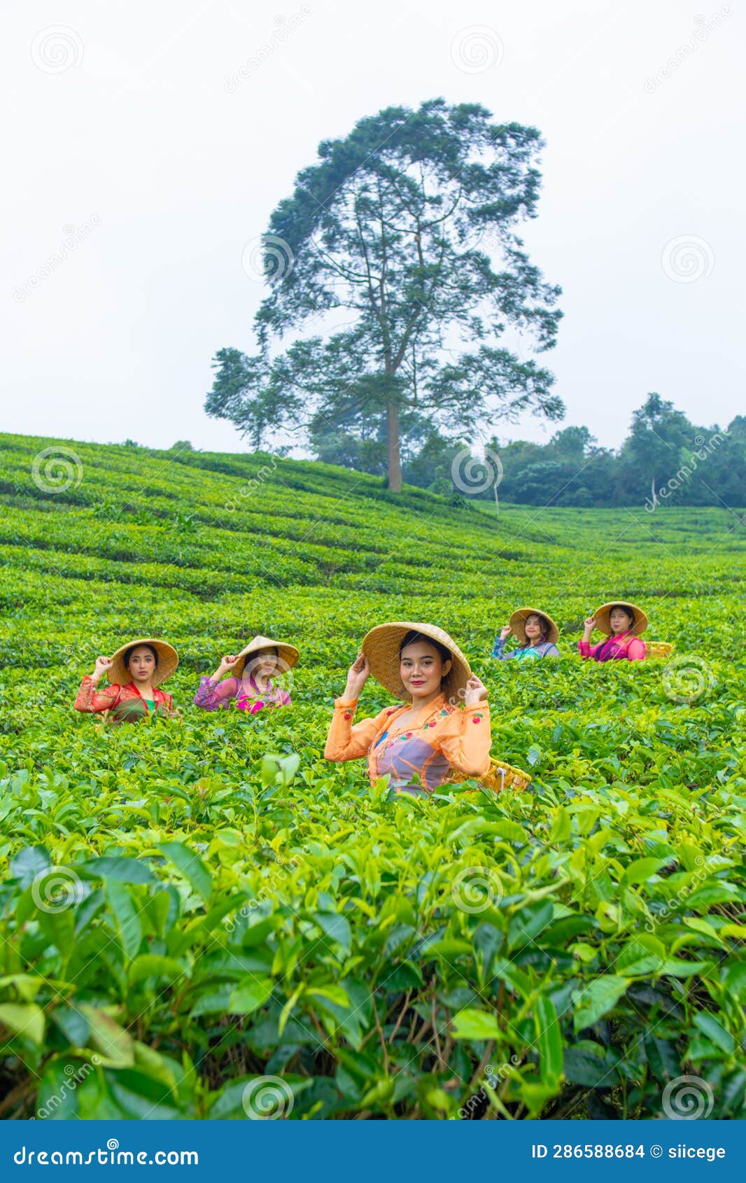 A Group of Traditional Javanese Dancers Laughing Together with ...