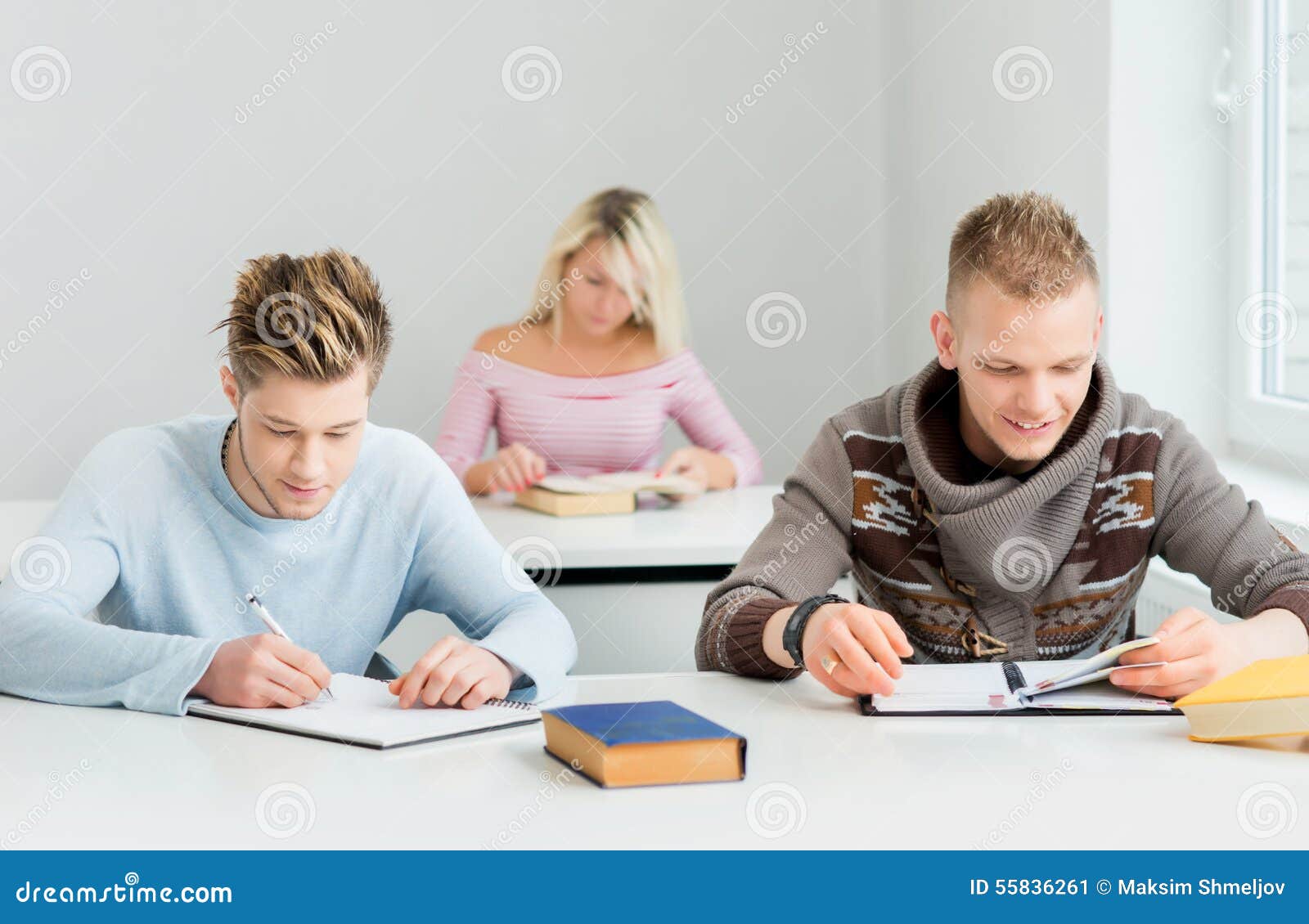 Group of Teenage Students Studying at the Lesson Stock Image - Image of ...
