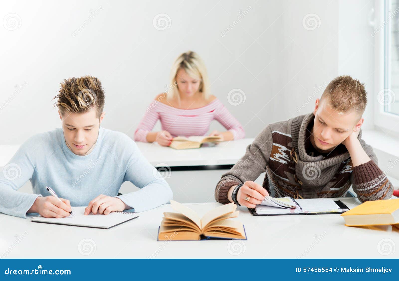 Group of Teenage Students Studying at the Lesson Stock Photo - Image of ...