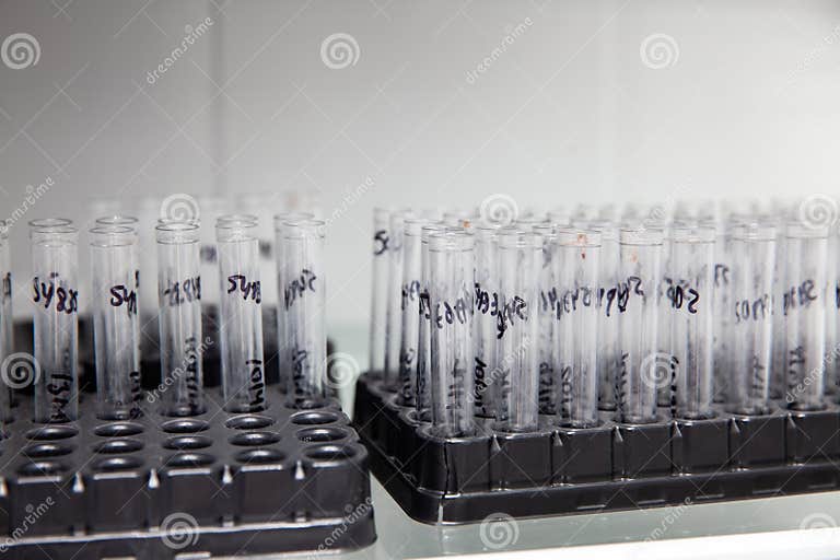 Group of Test Tubes Containing Patient Samples Ready for Flow Cytometry ...