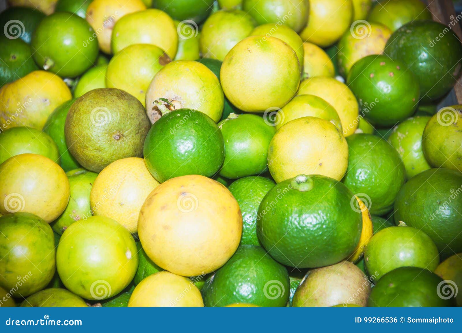 Group of Thai lemon stock photo. Image of fruit, juice - 99266536