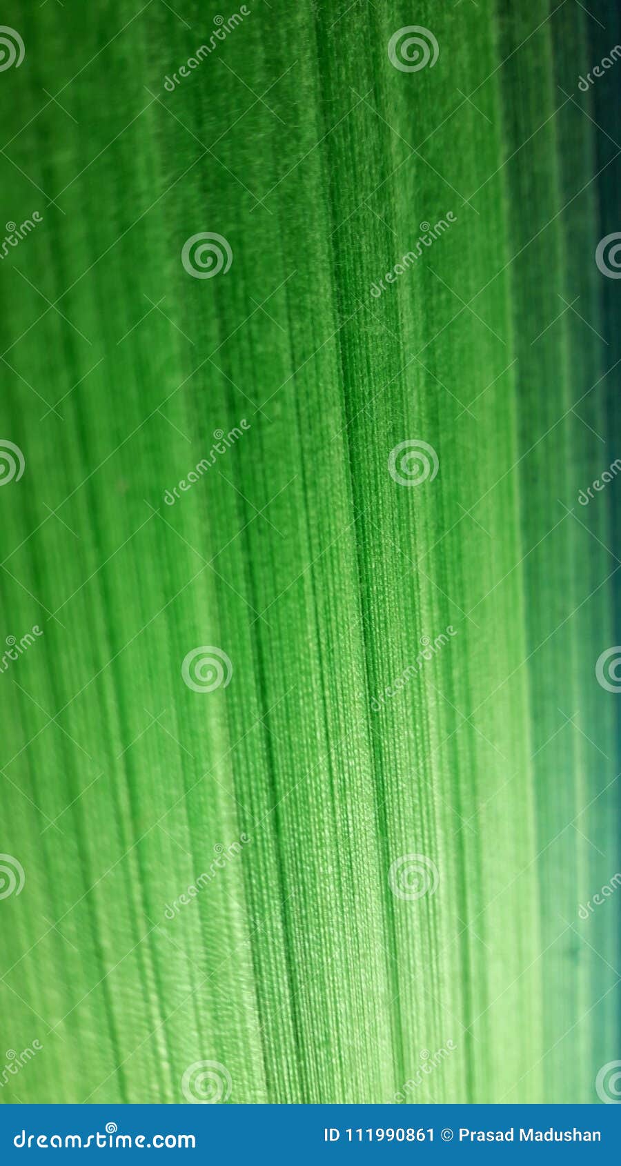 Group of threads stock image. Image of threads, handloom - 111990861