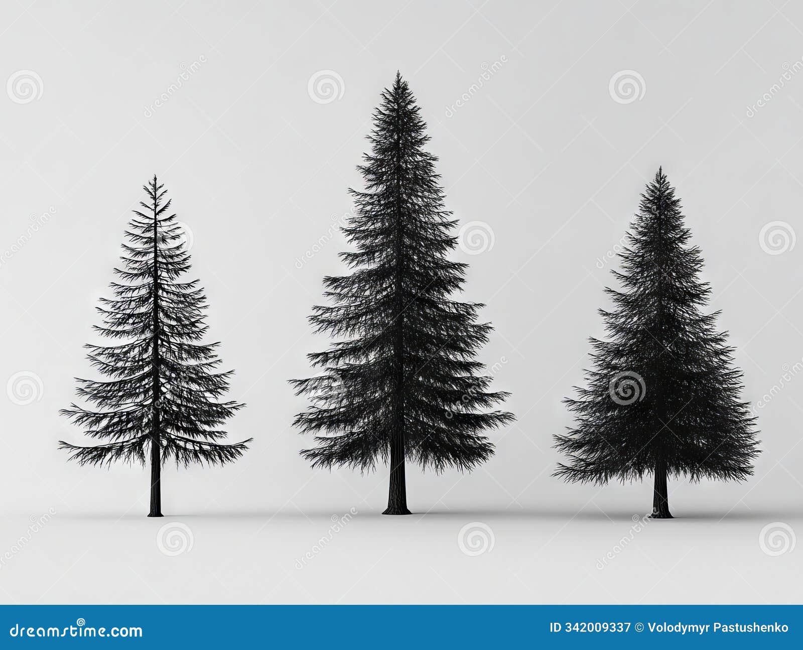 A Group of Three Black and White Trees on a White Background Stock ...