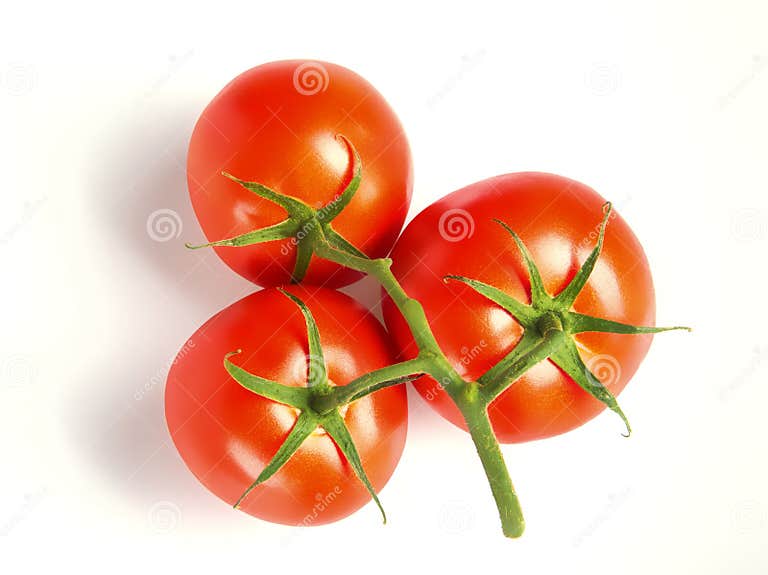 Vine Ripe Tomatoes stock image. Image of ketchup, close - 99182525
