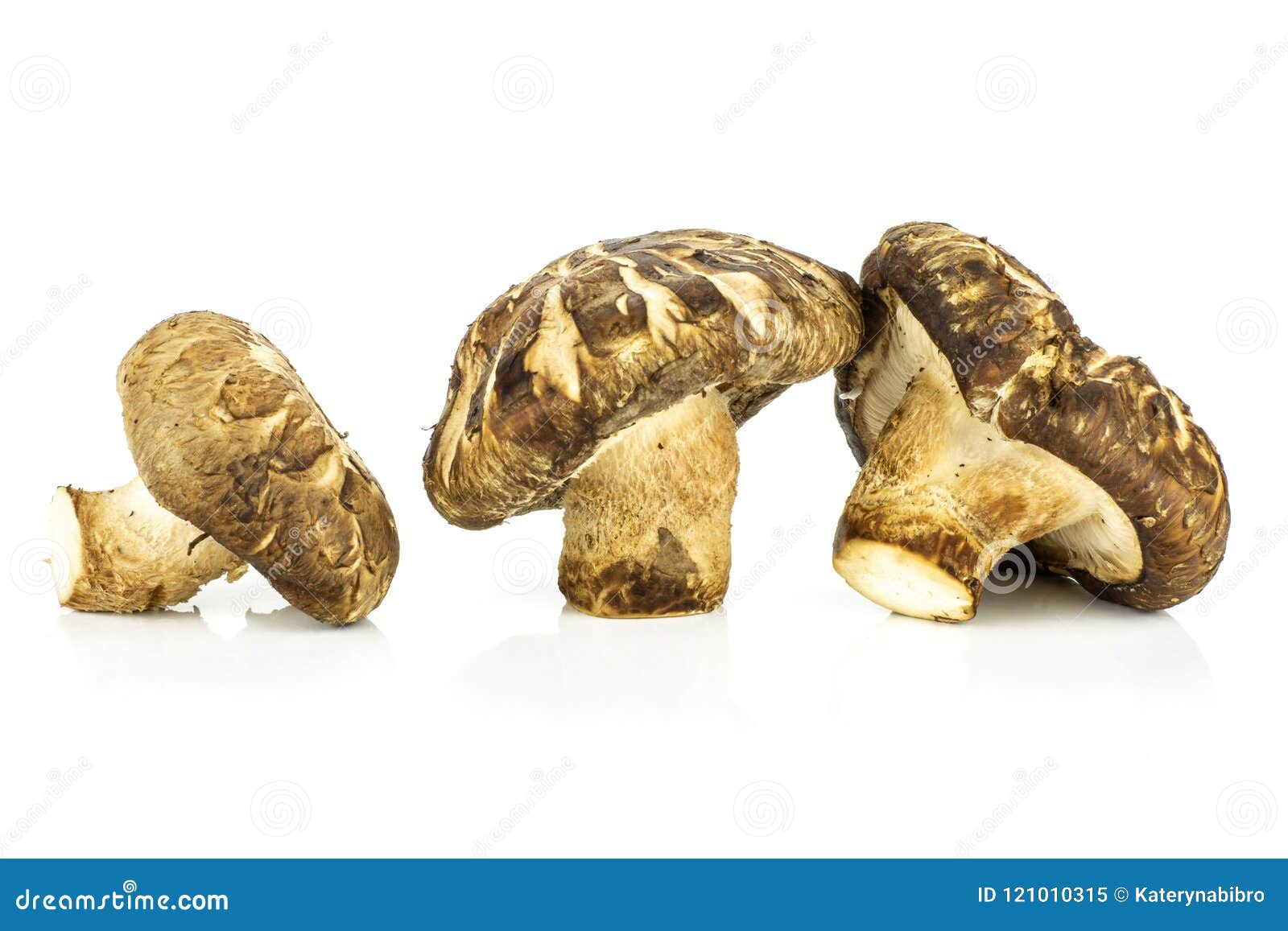 Fresh Raw Shiitake Mushroom Isolated on White Stock Image - Image of ...