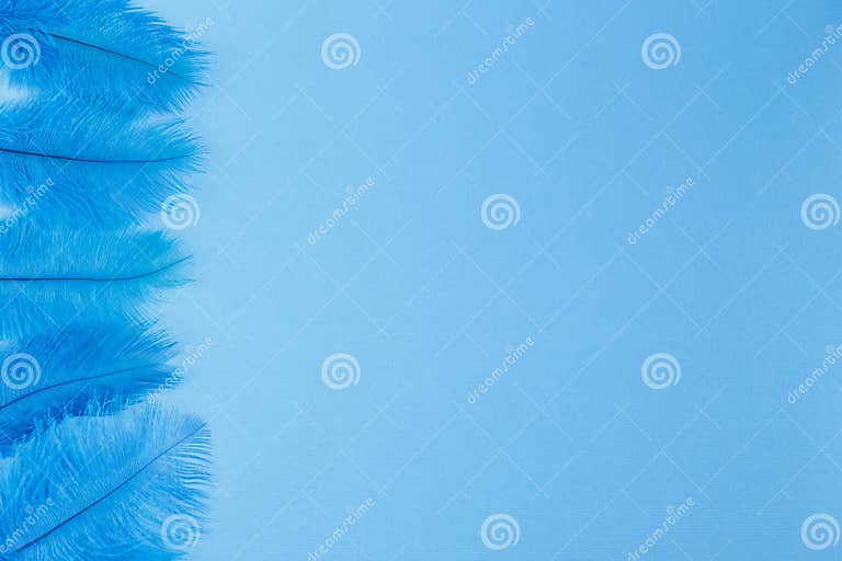 Group of Fluffy Blue Feathers Border Background Stock Image - Image of ...