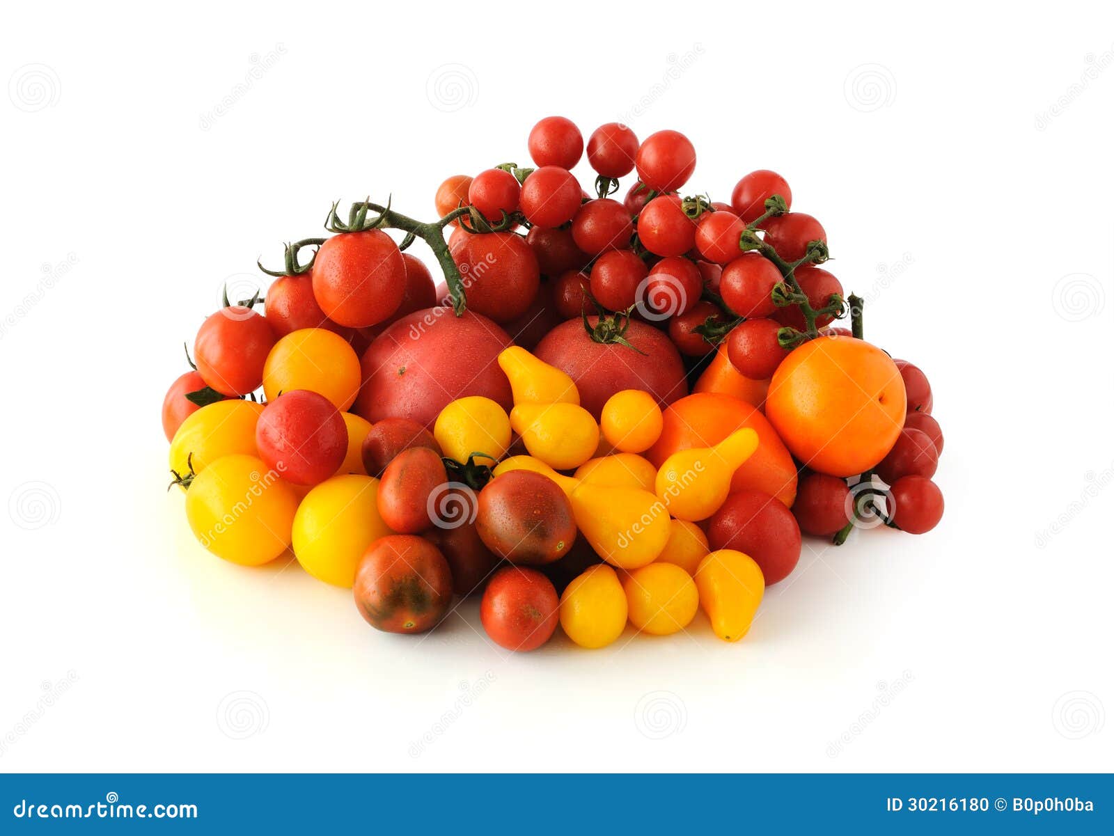 Group of Different Tomato Varieties and Colors on a White Background ...