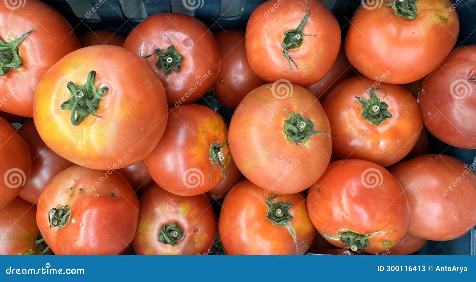 Group of Tomatoes Lying on a Pile on Top of Each Other, Tomato Texture ...