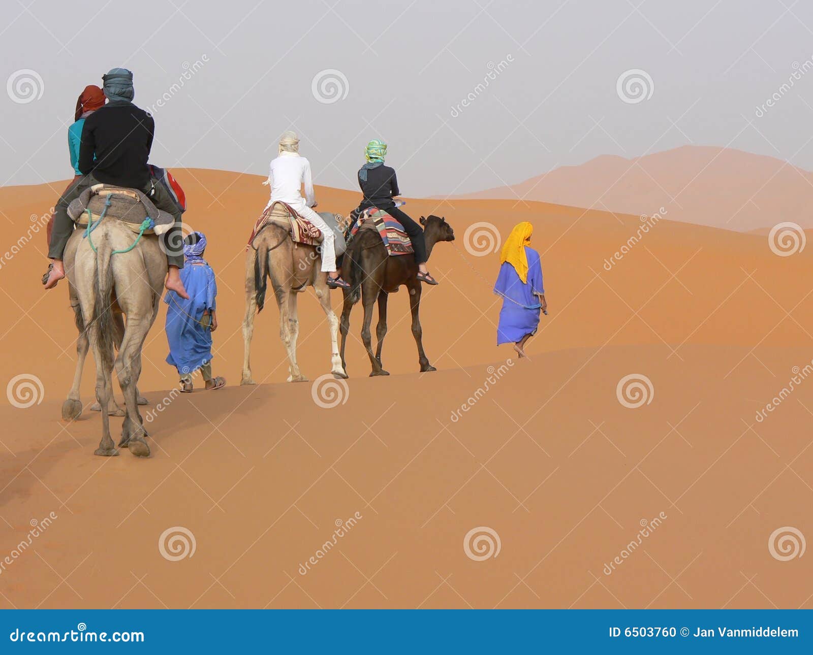 Group of tourist on camels stock photo. Image of morocco - 6503760
