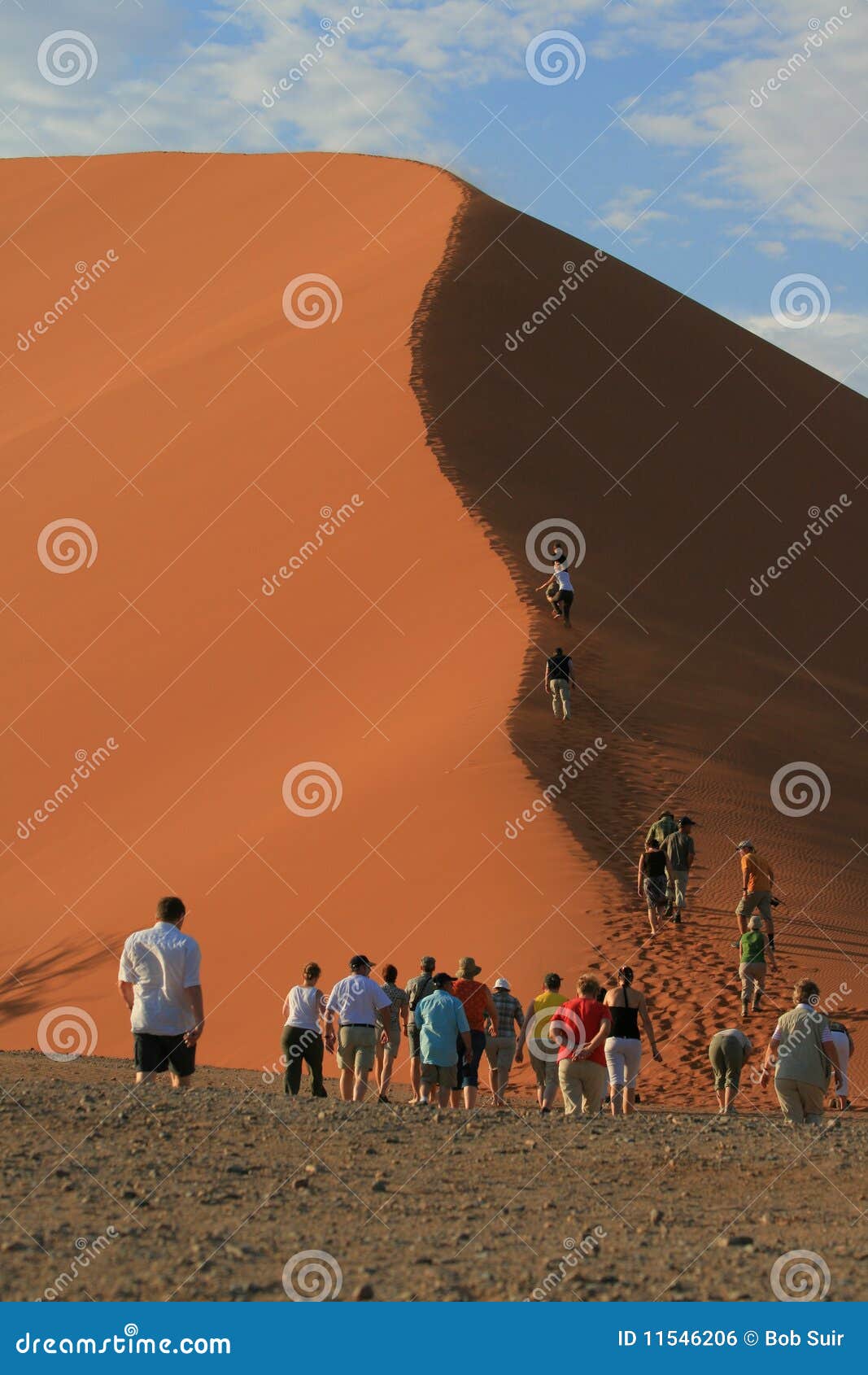Group of tourists editorial photo. Image of namibia, nature - 11546206