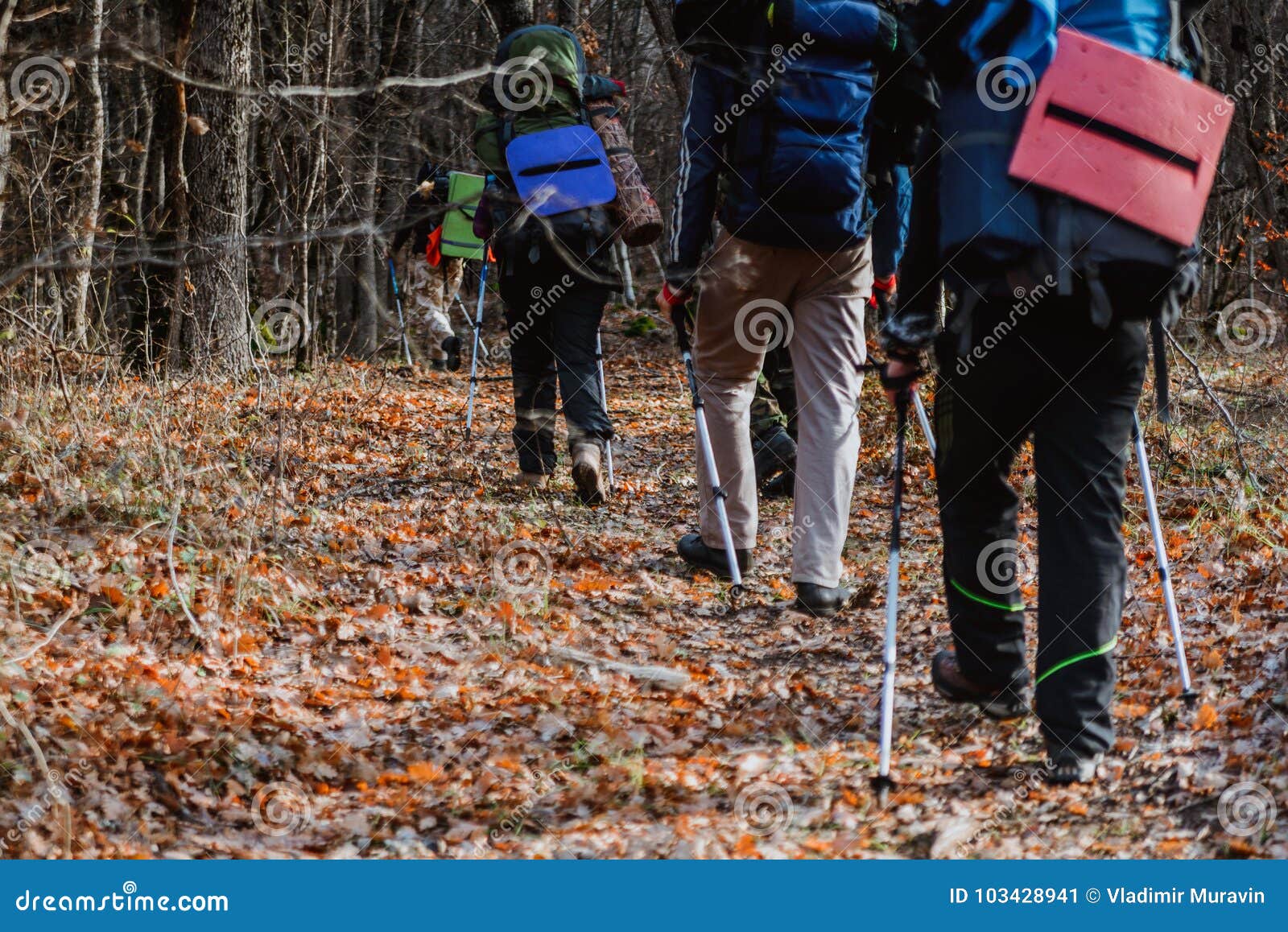 Group of Tourists in the Forest, View from the Back Editorial Photo ...