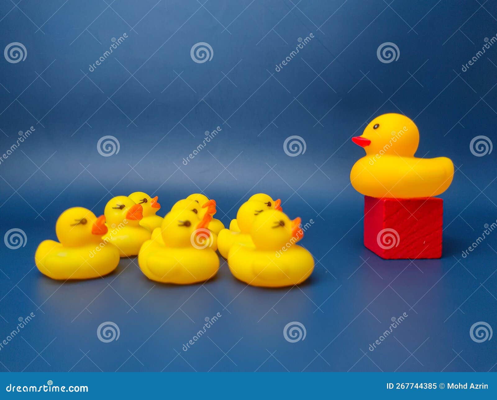 Group of Toy Ducks with Leadder Stock Image - Image of team ...