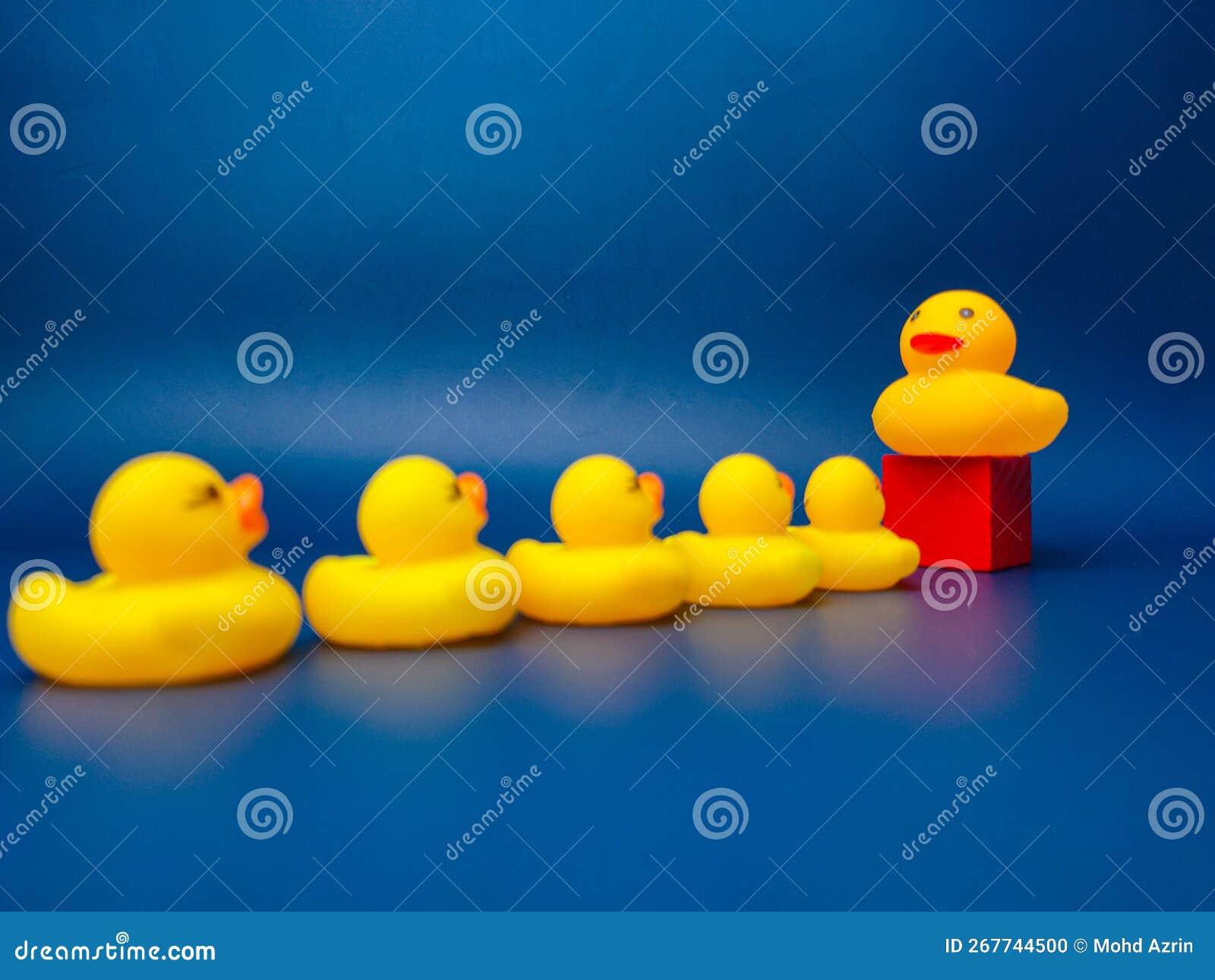 Group of Toy Ducks with Leadder Stock Photo - Image of collaboration ...