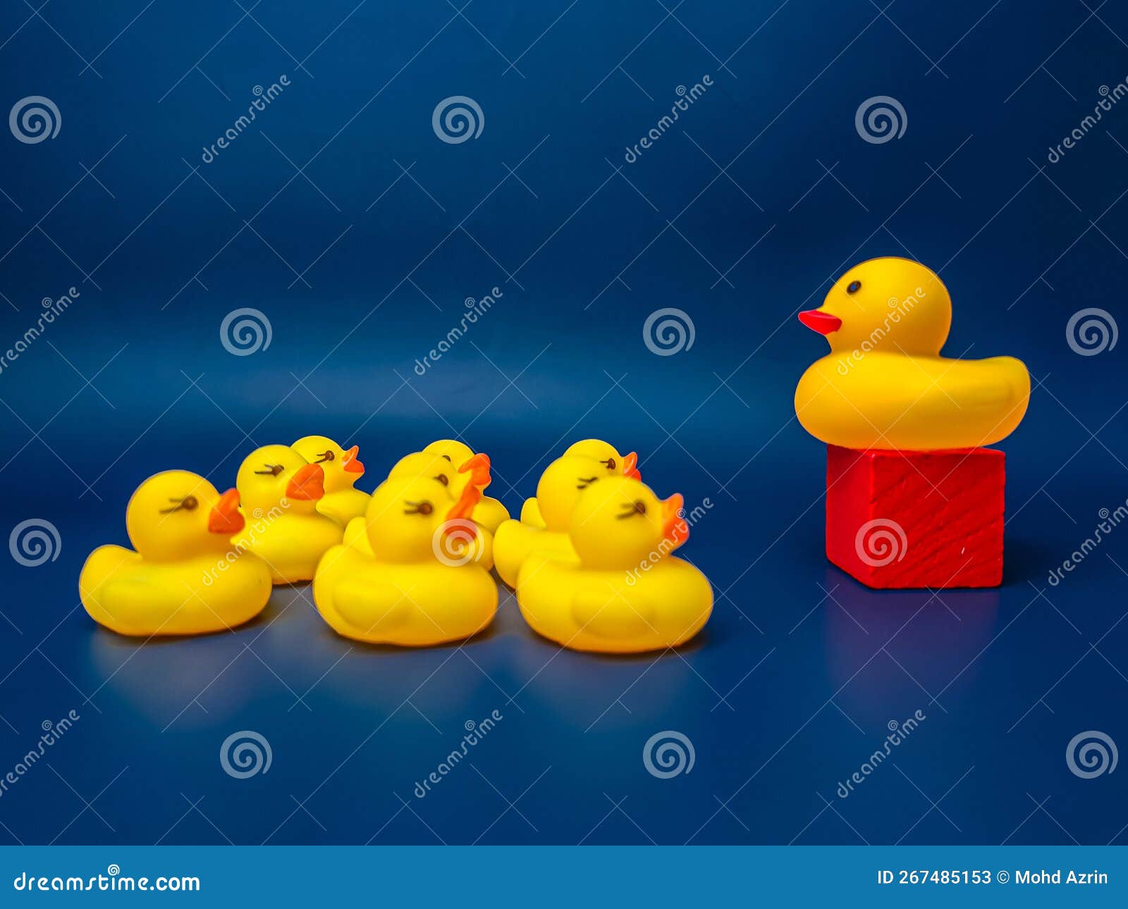 Group of Toy Ducks with Leadder Stock Image - Image of office, success ...