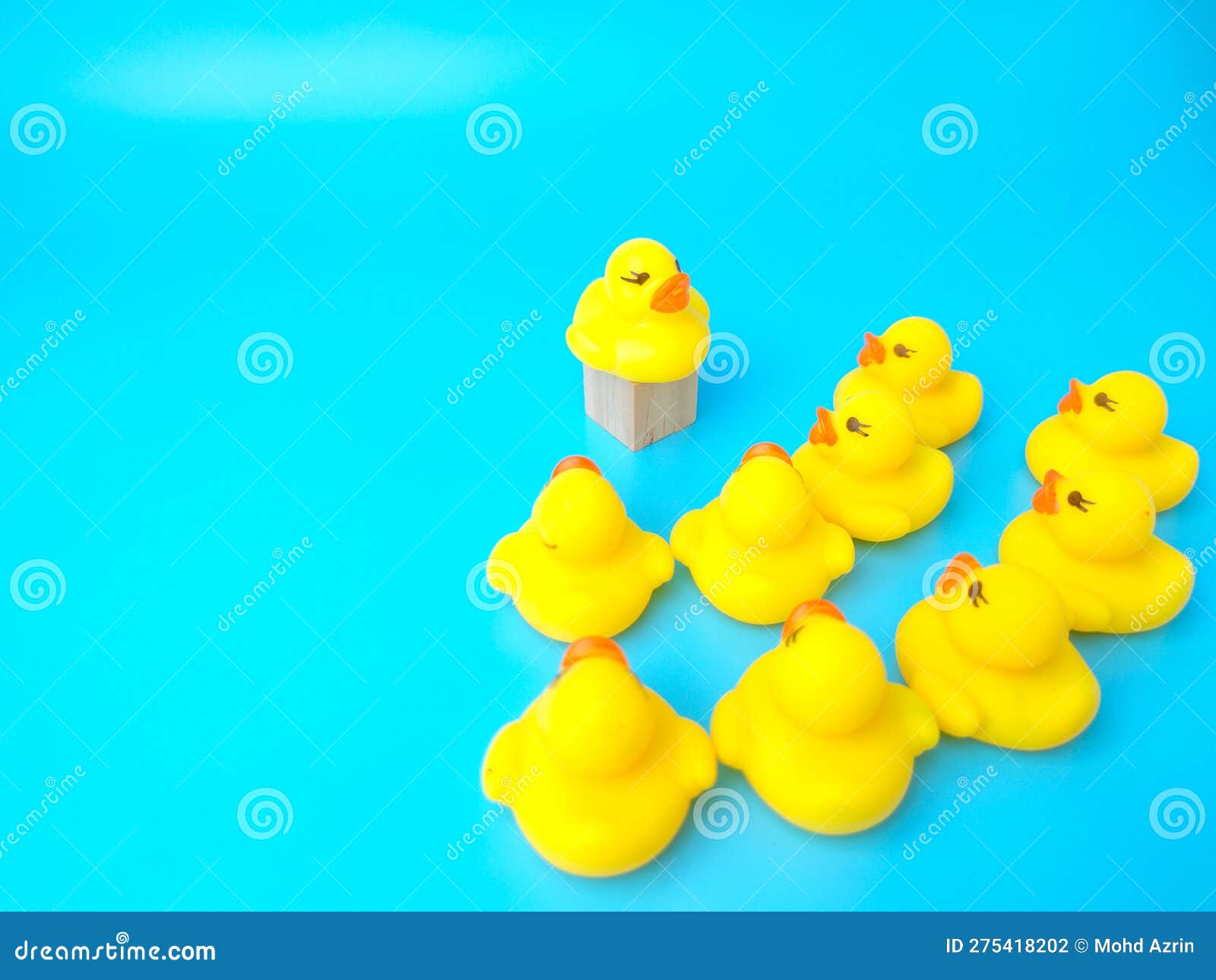 Group of Toy Ducks with Leadder Stock Photo - Image of team, success ...
