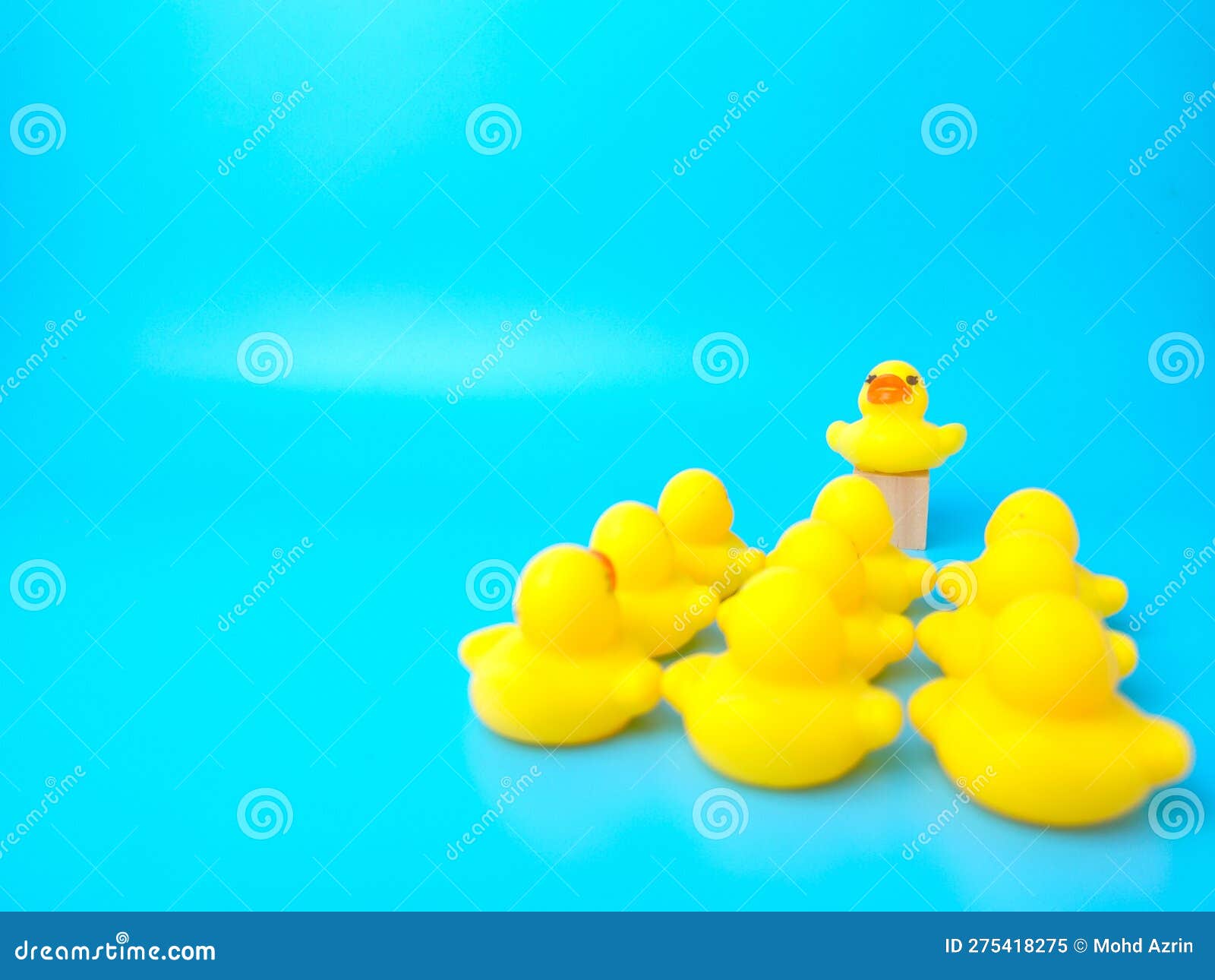 Group of Toy Ducks with Leadder Stock Image - Image of group ...