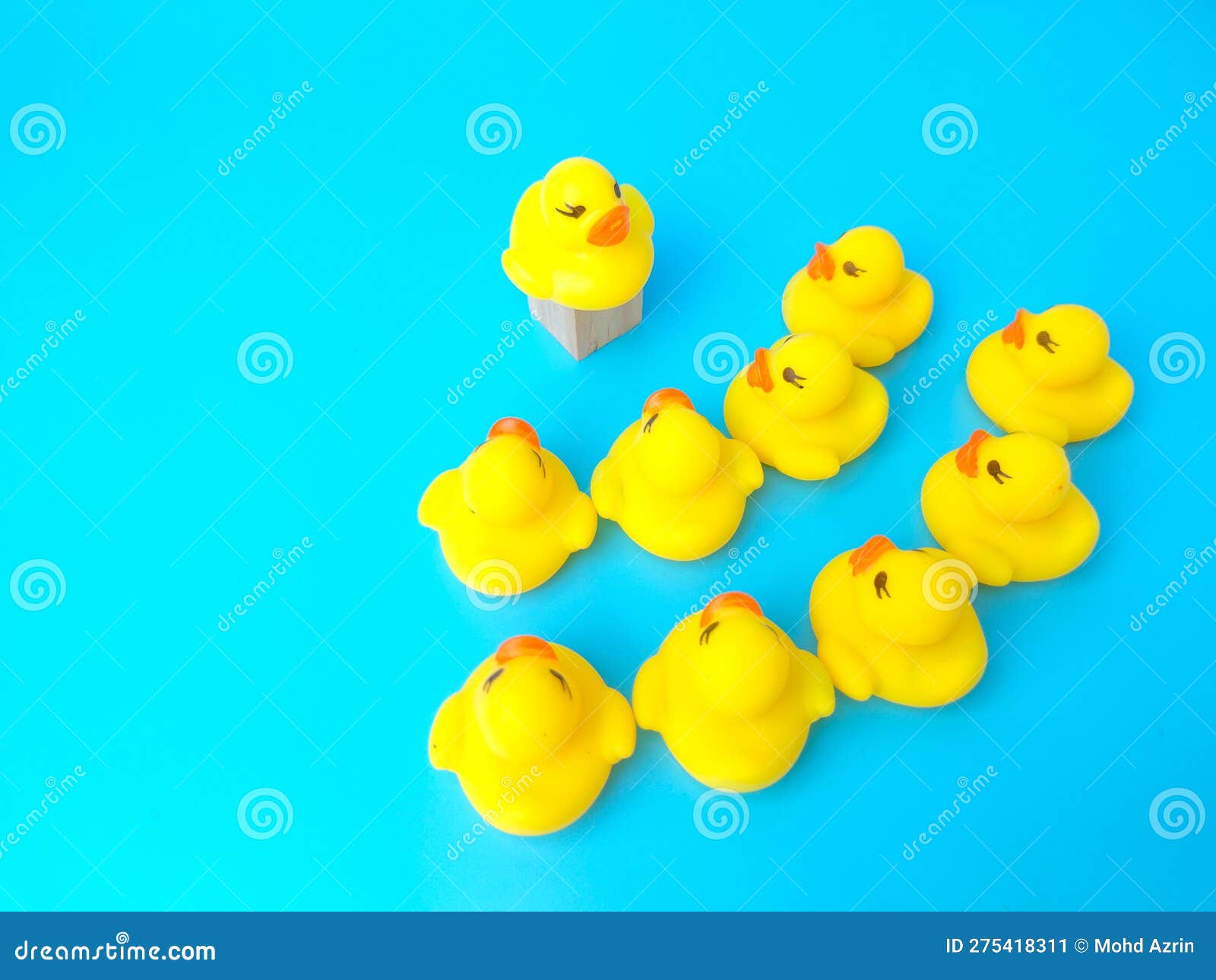 Group of Toy Ducks with Leadder Stock Image - Image of community ...