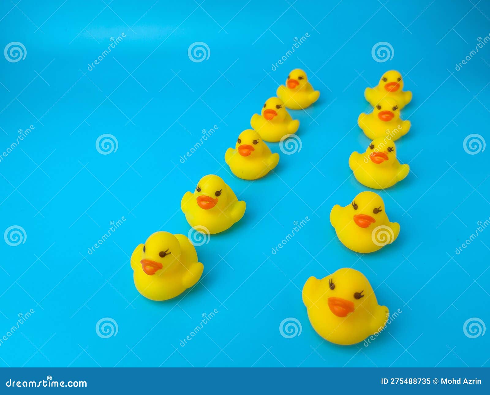 Group of Toy Ducks. Leadder and Teamwork Stock Image - Image of guide ...