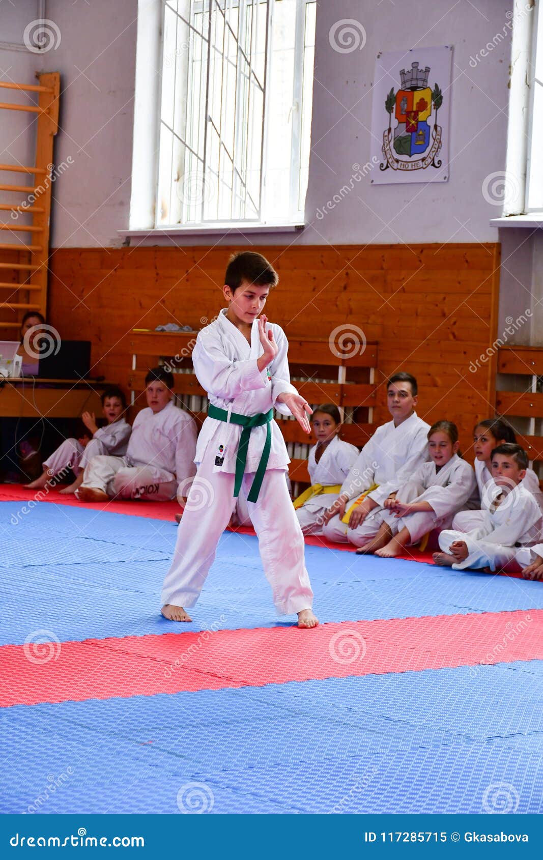 Karate training. editorial image. Image of jujutsu, attack - 117285715