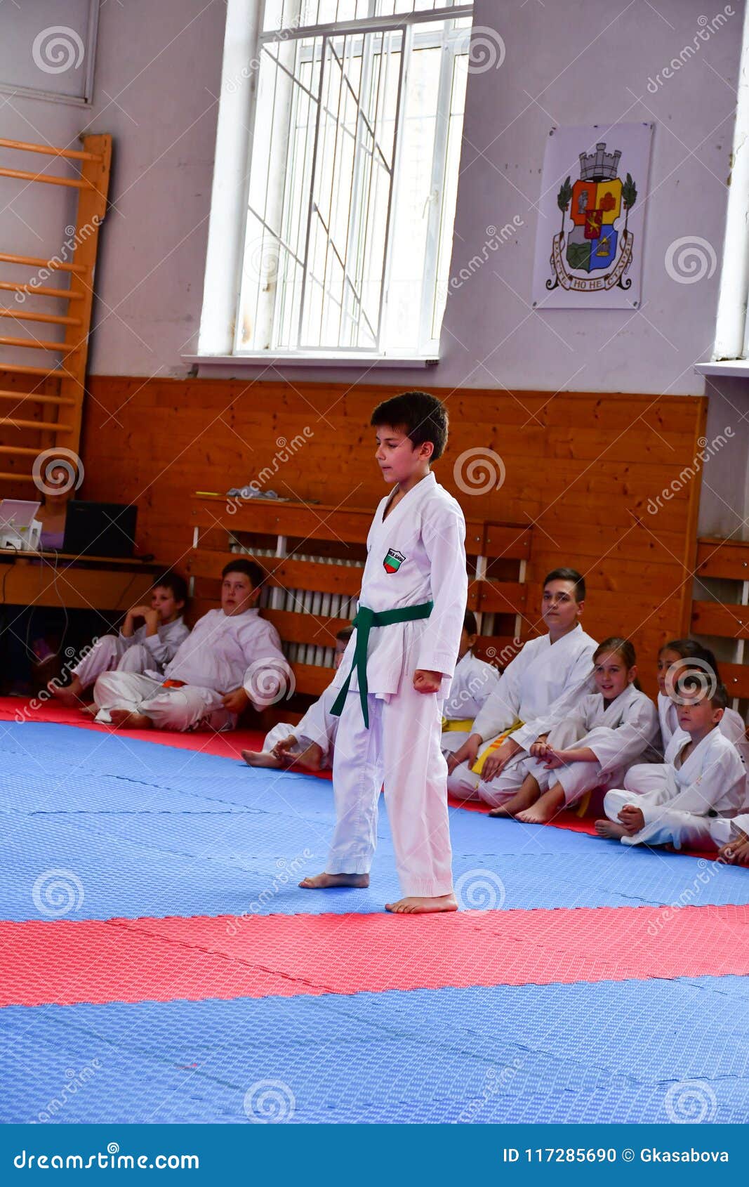 Karate training. editorial image. Image of learn, healthy - 117285690
