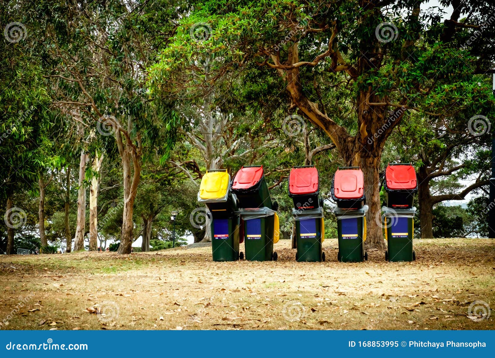 Group of Trash Cans / Garbage Bins Setting Inside the Park Stock Image ...