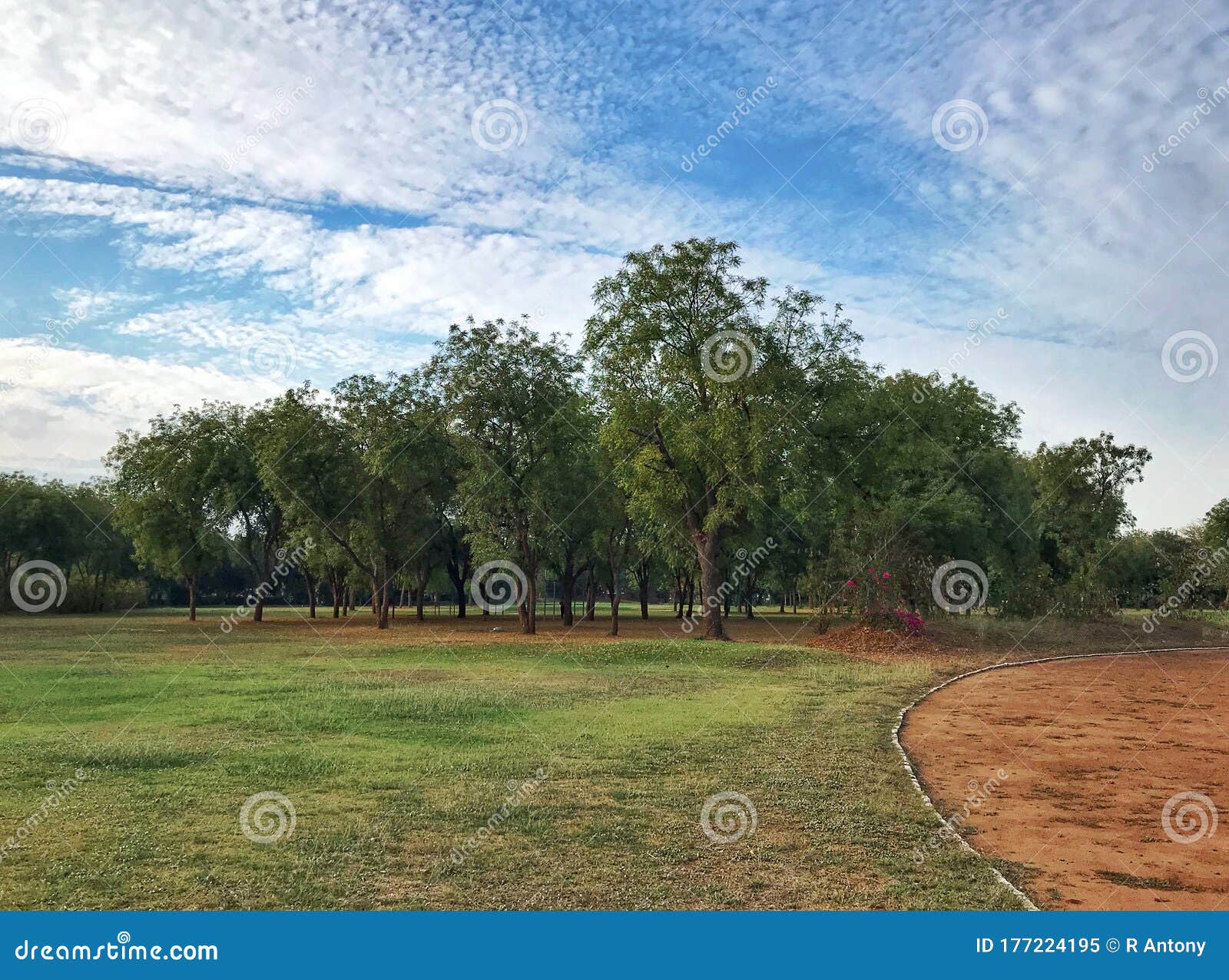 Group of Tree Lines with Beautiful Cloud Formation Stock Image - Image ...