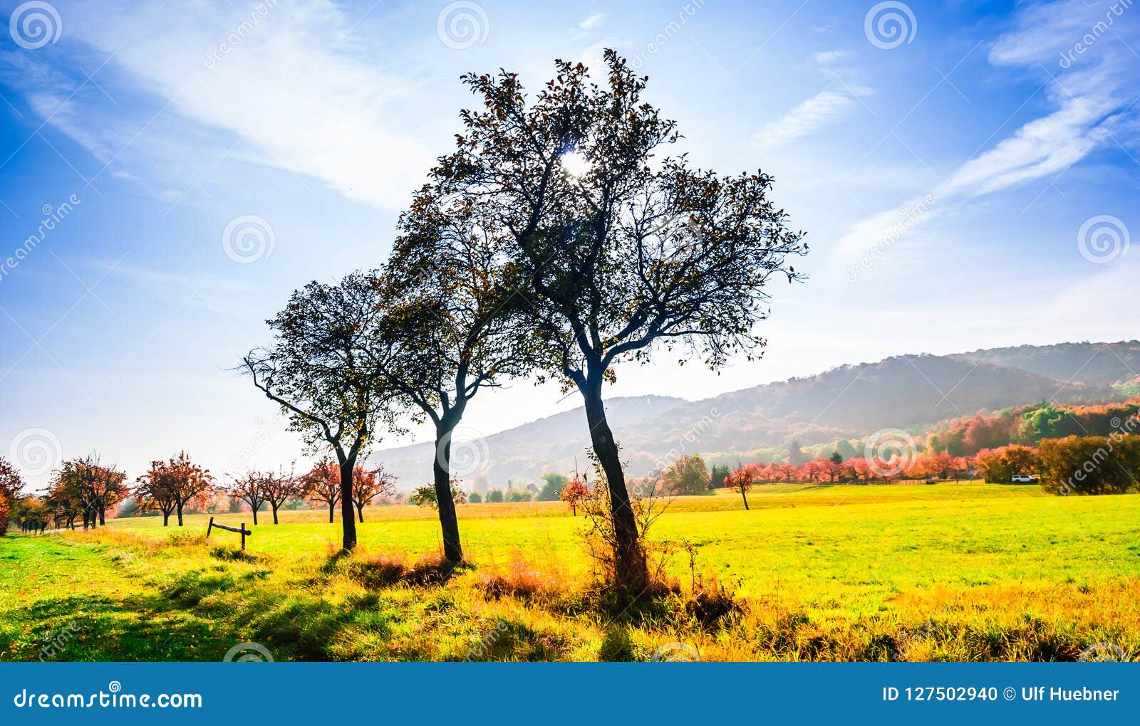 Group of Trees in Fall Landscape in Germany Stock Photo - Image of ...