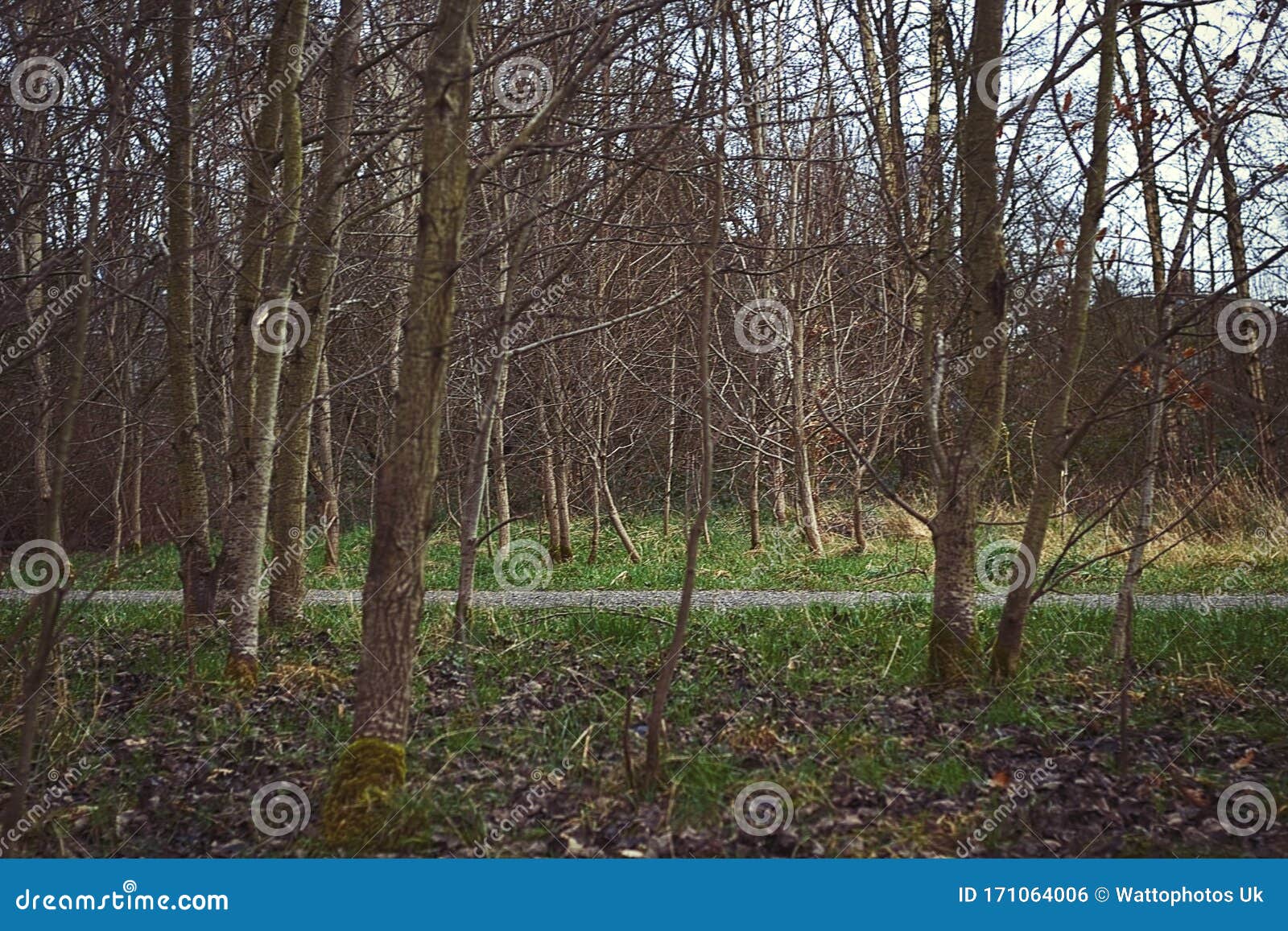 Path Into The Distance Stock Image | CartoonDealer.com #31957513