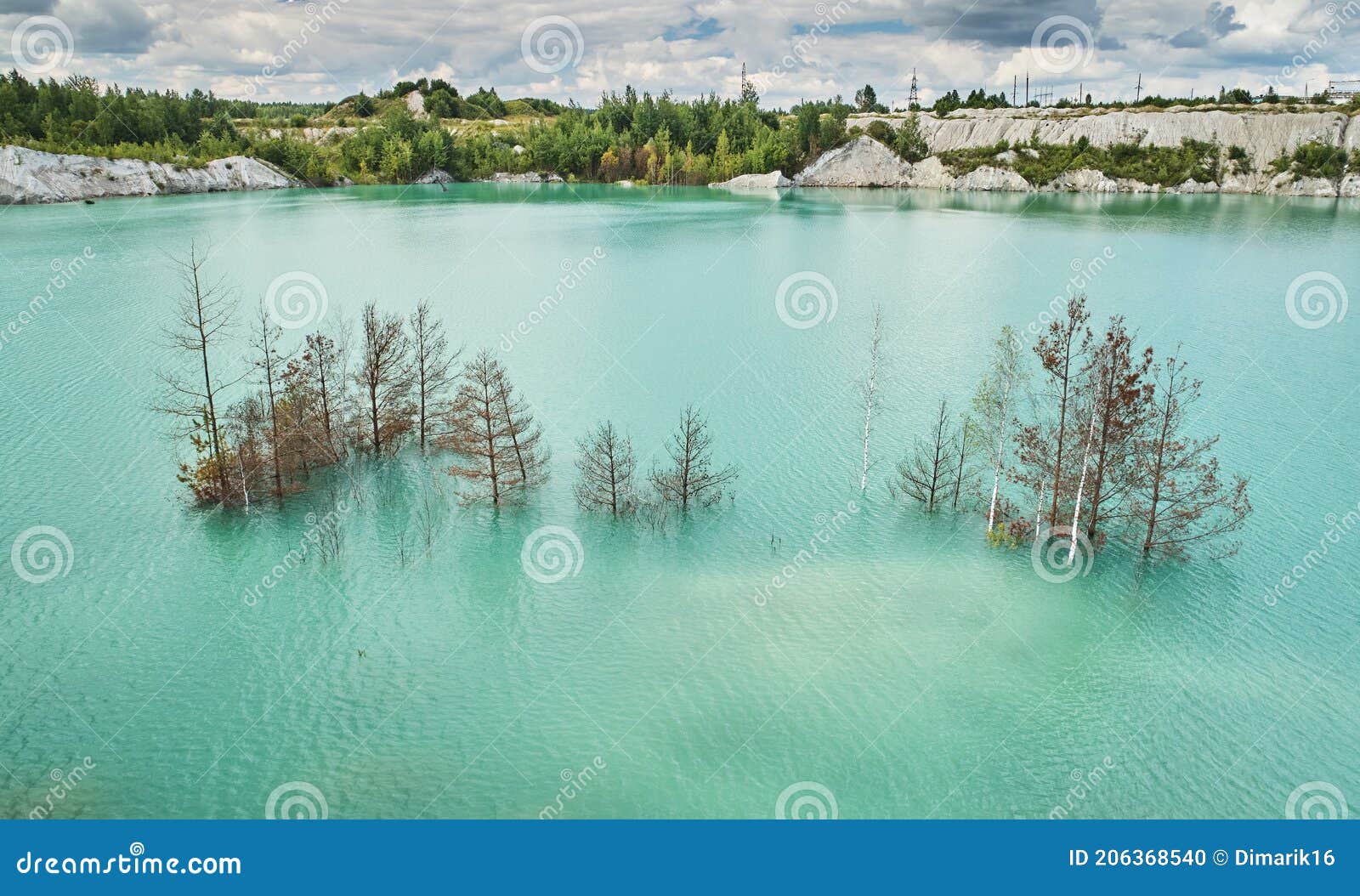 Group of Trees Growing in Water Stock Photo - Image of beautiful, area ...